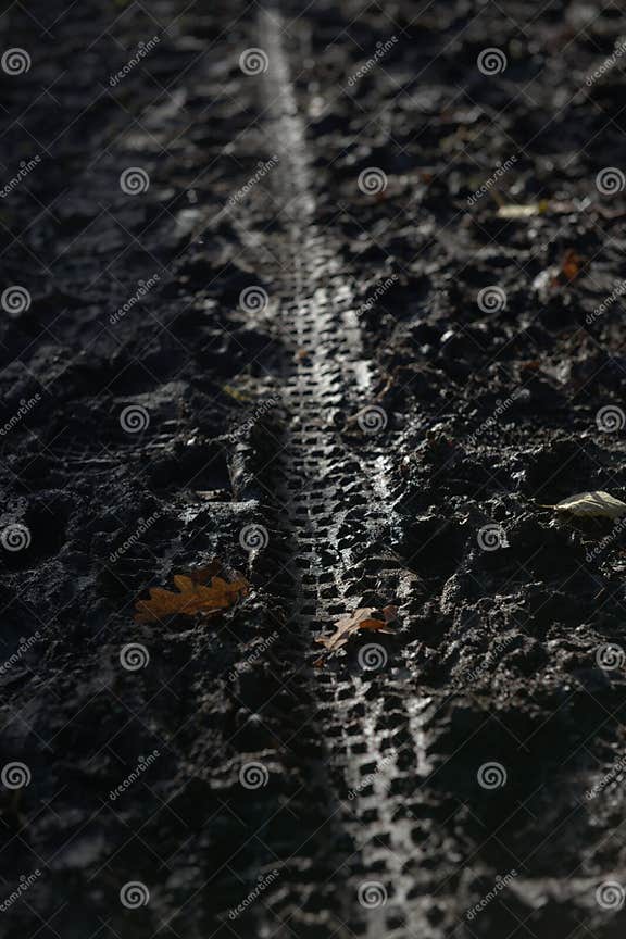 4 - Vertical Image of Bicycle Tyre Tread Pattern in Deep Mud Outdoors ...