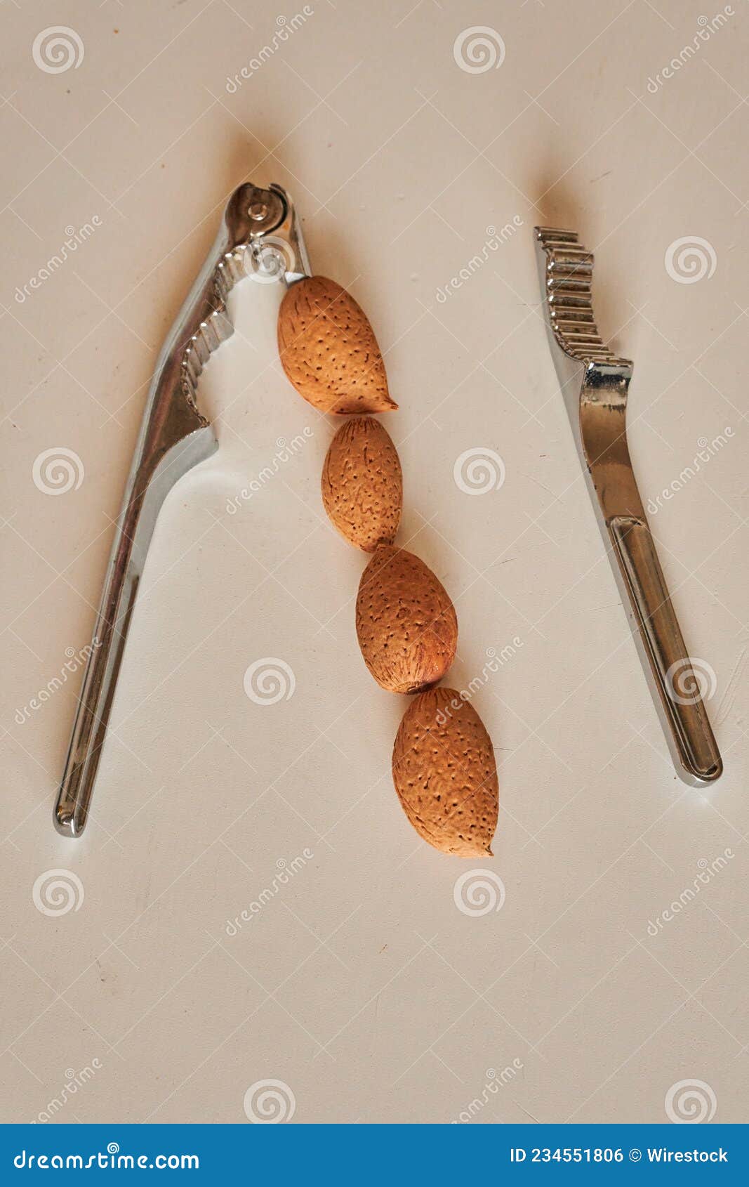 Vertical Image of a Broken Metal Nutcracker with Four Almonds. Stock ...