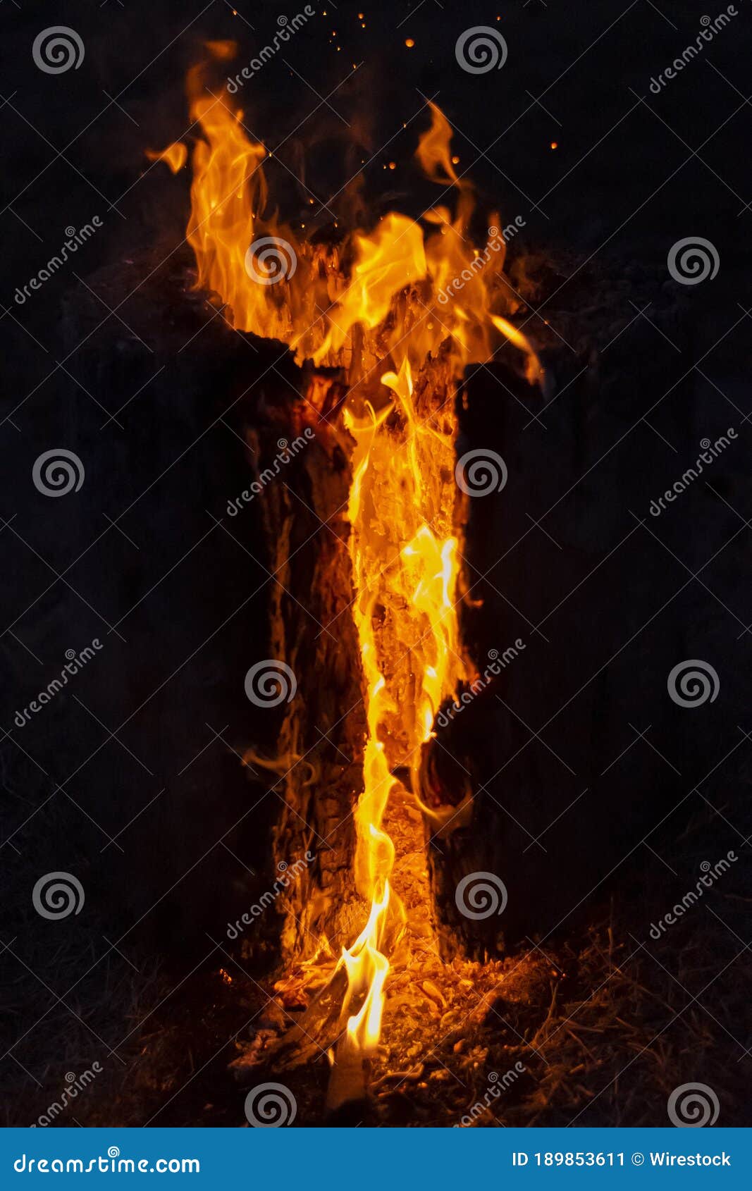Vertical Image of a Burning Log Creating a Fiery Background Stock Image ...