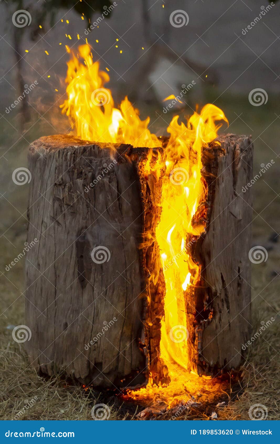 Vertical Image of a Burning Log Creating a Fiery Background Stock Photo ...