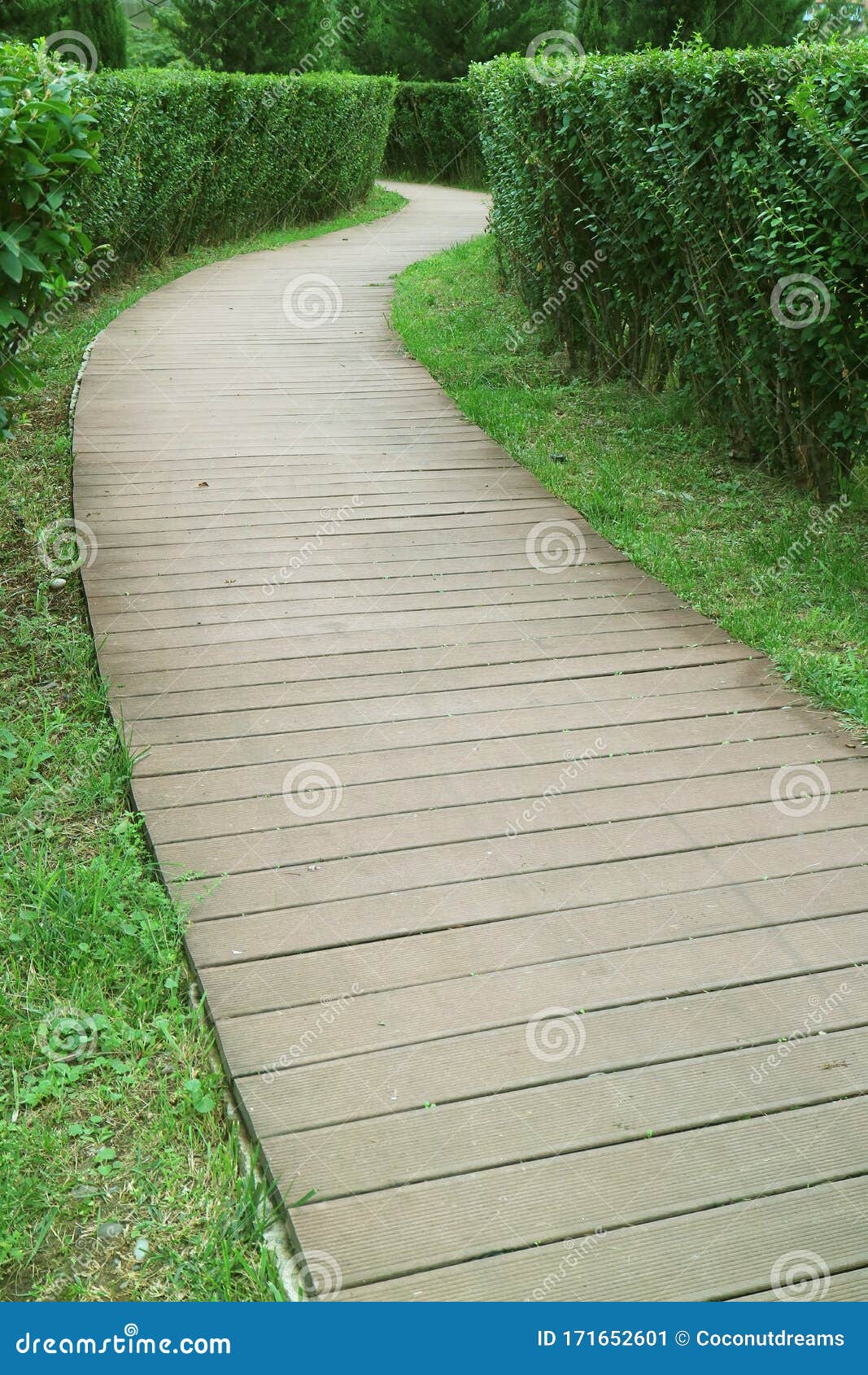 Vertical Image of an Empty Wooden Path in the Park Stock Image - Image ...