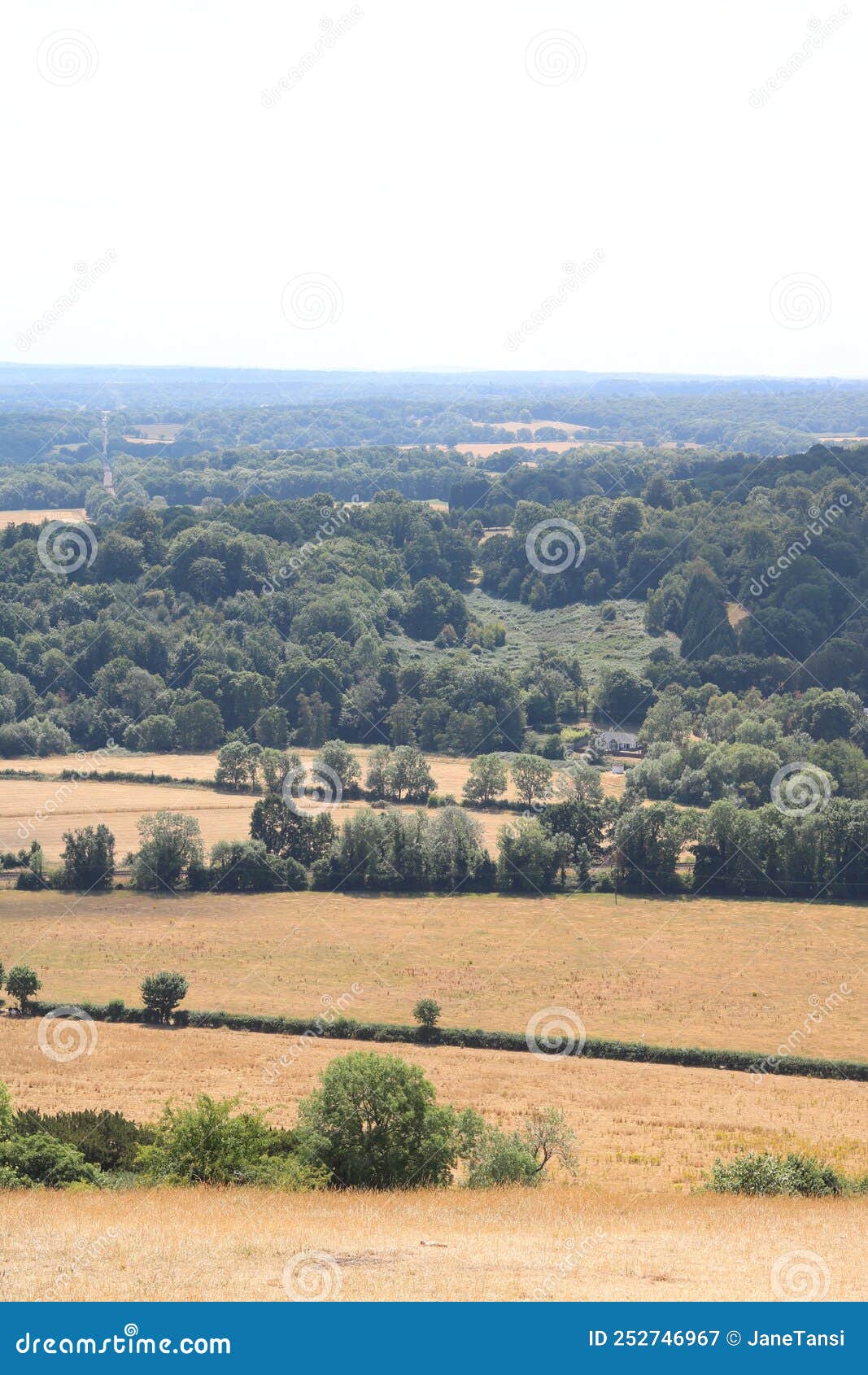 Vertical Image of English Countryside with Parched Fields in Foreground ...