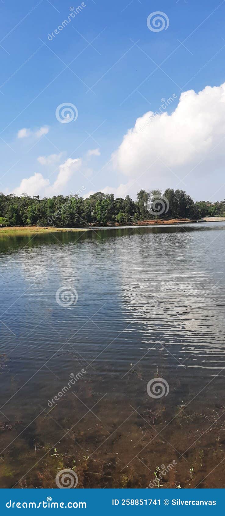 A Vertical Image of Lake. Sky Reflection in Water Stock Image - Image ...