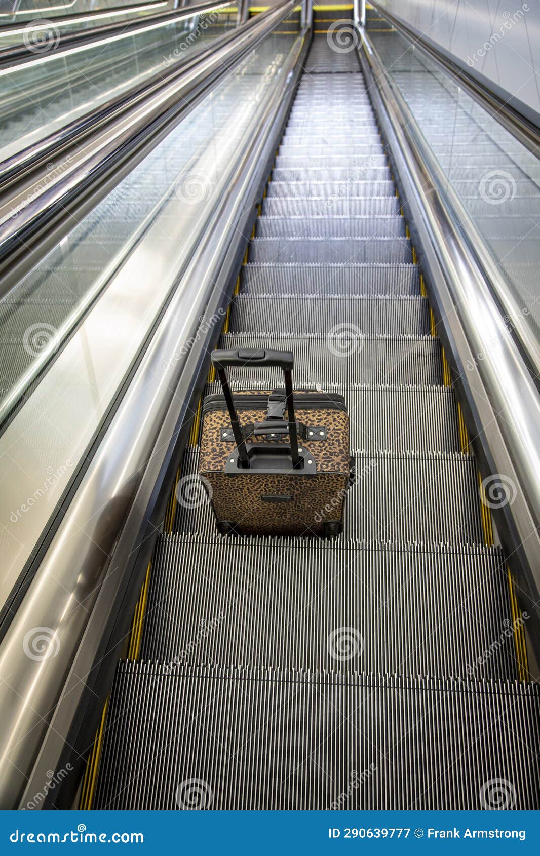 Vertical Image of a Long Escalator Looking from the Top Down To the ...