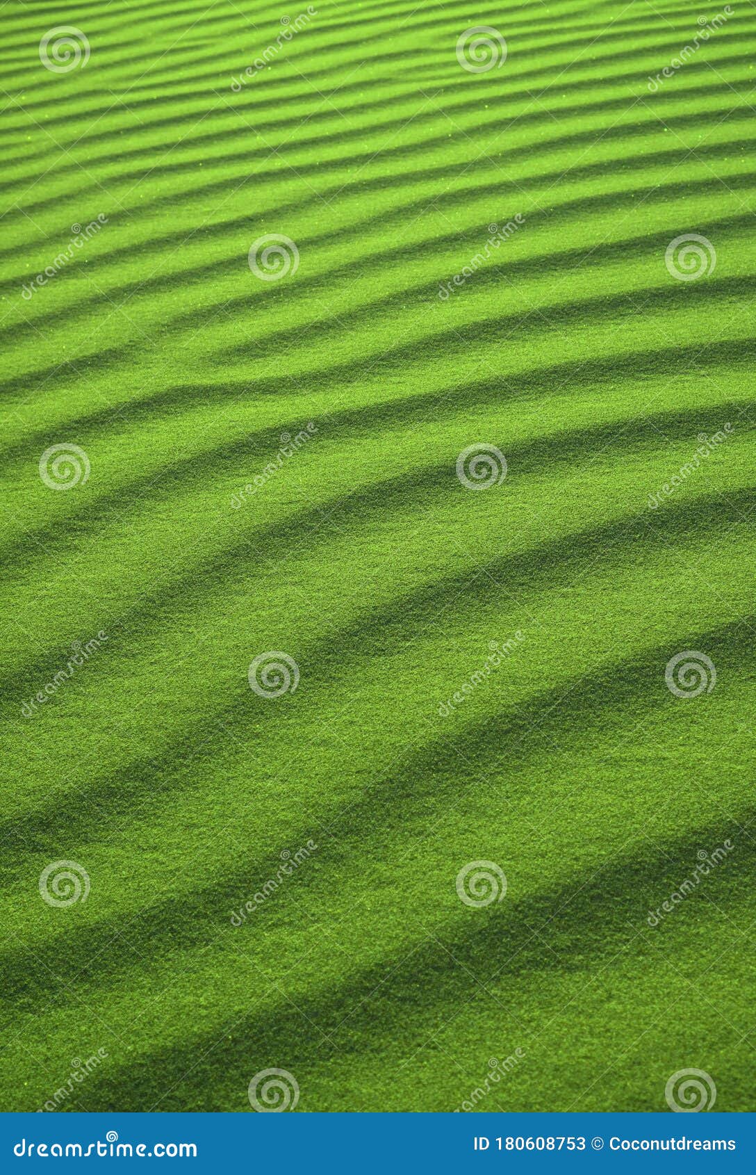Vertical Image Of Pop Art Style Vivid Green Colored Desert Sand Ripple ...
