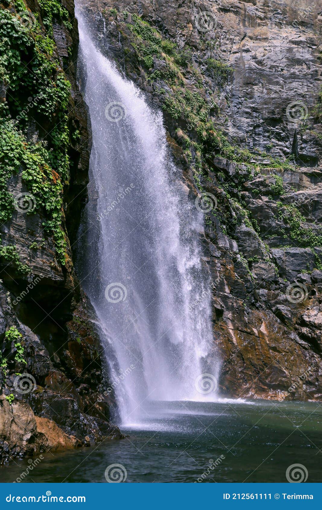 Vertical Image of the Waterfall Stock Image - Image of flowing, water ...