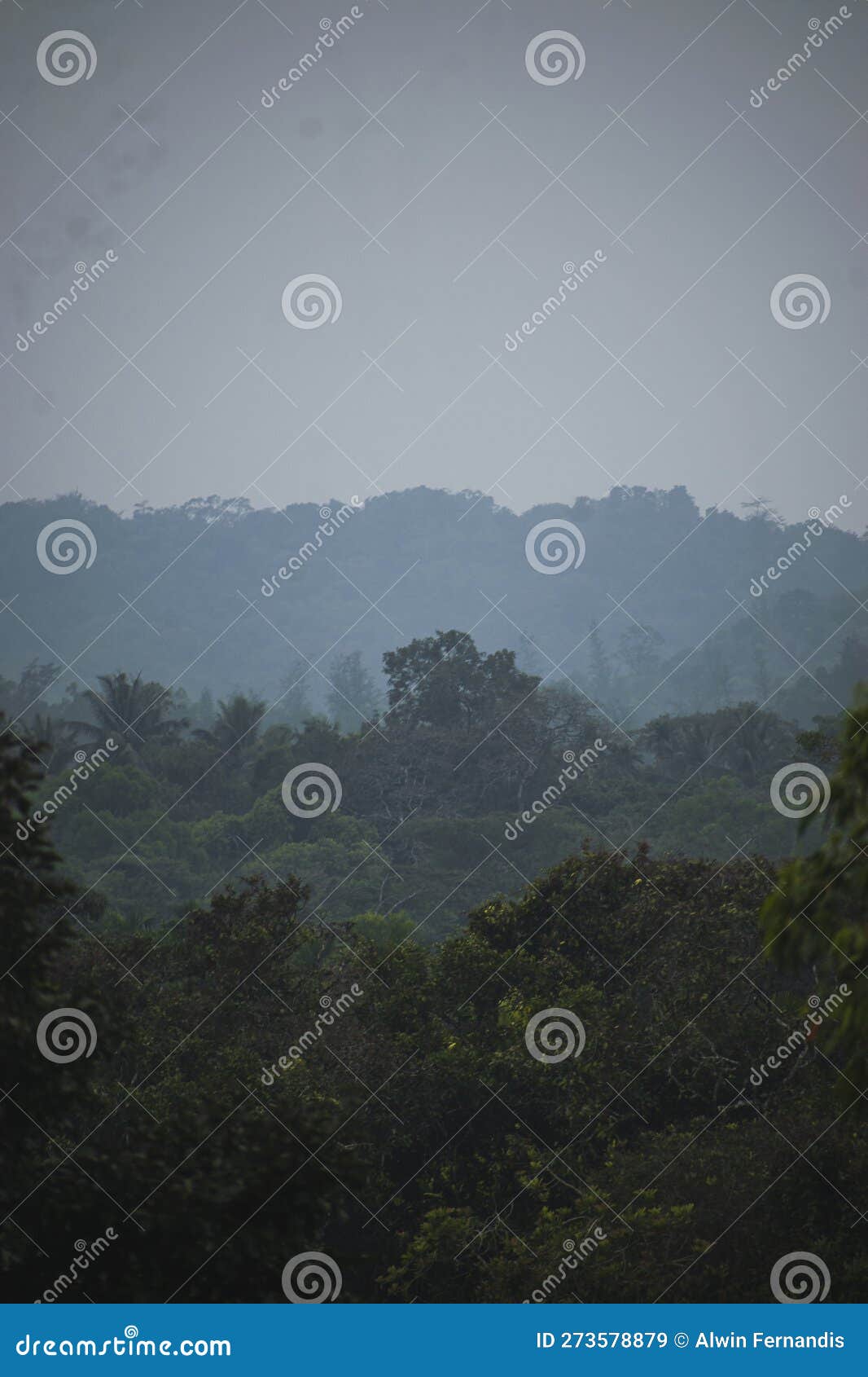 The Vertical Landscape of Mountains Stock Image - Image of trees ...