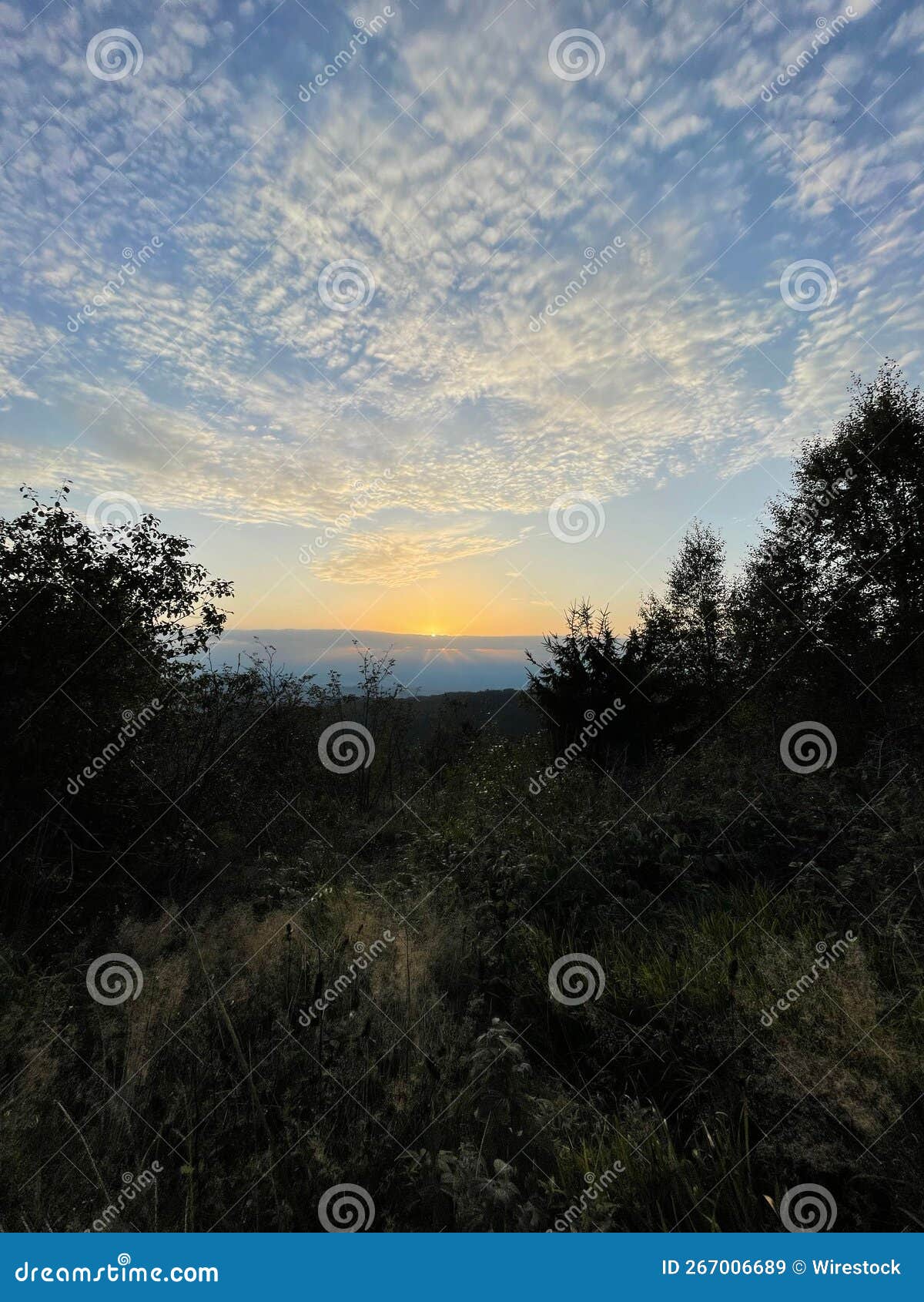 Vertical of Landscape at Sunset with Cloudy Sky and Yellowing Grass ...