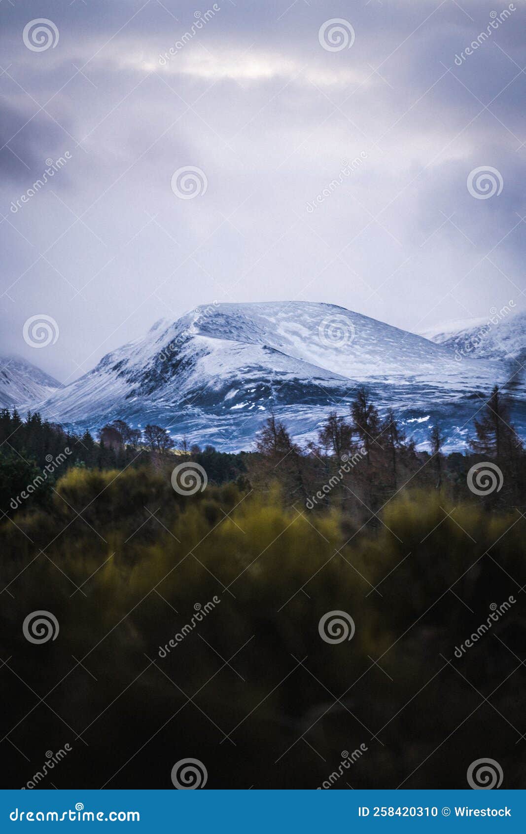 Vertical Landscape View of an Snowy Mountain with Trees Blurred in the ...