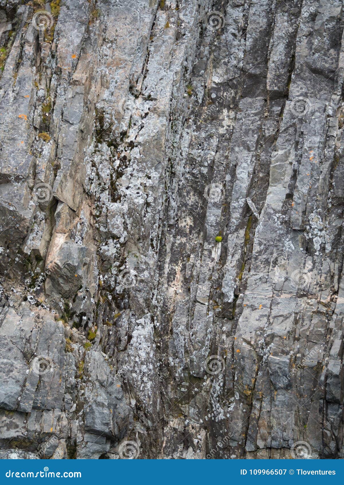 Vertical Layers of Rock with Moss Stock Image - Image of cierva ...