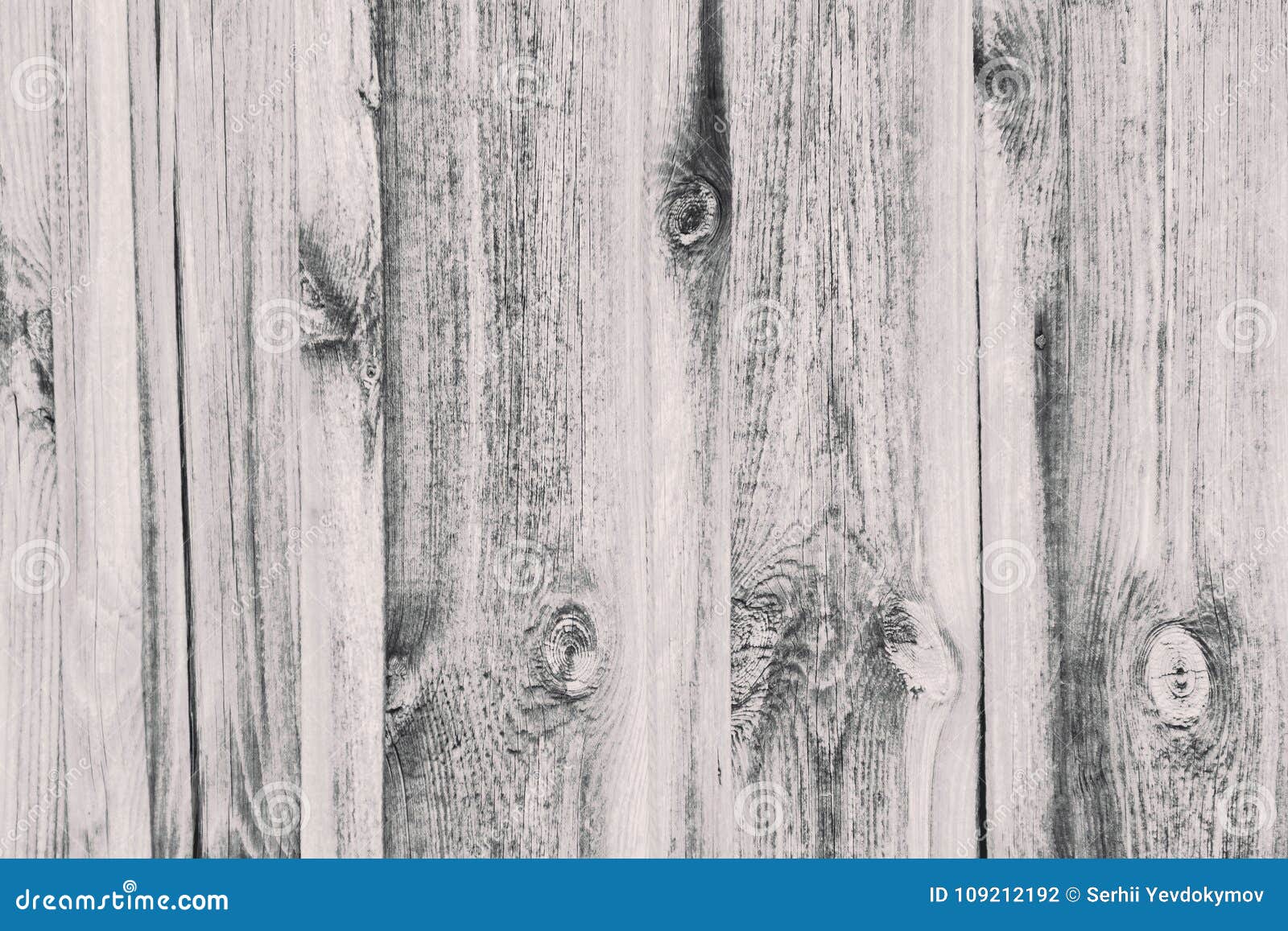 Vertical Light Gray Boards. Texture Stock Photo - Image of pattern ...