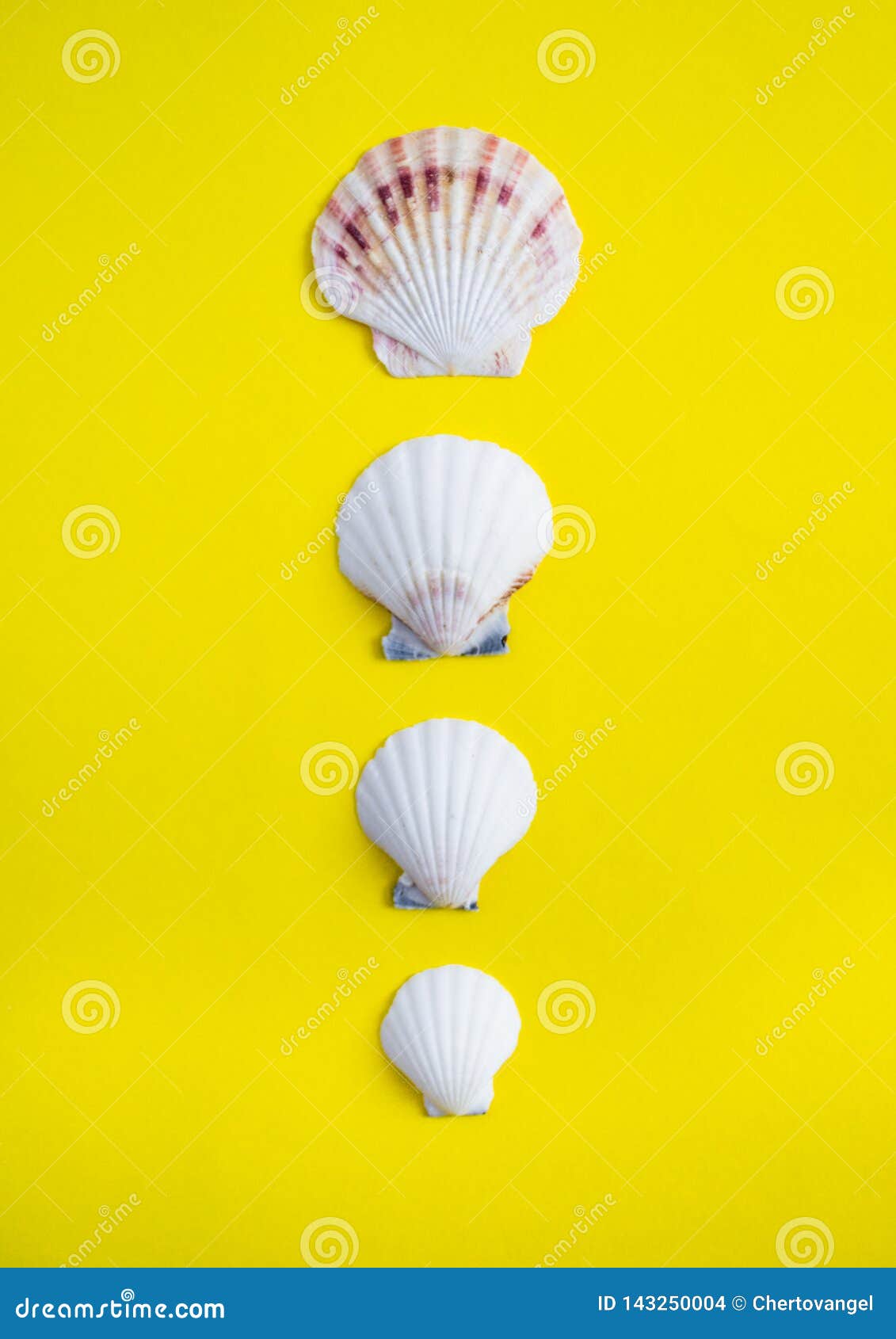 Vertical Line of Seashells on Yellow Background Stock Photo - Image of ...