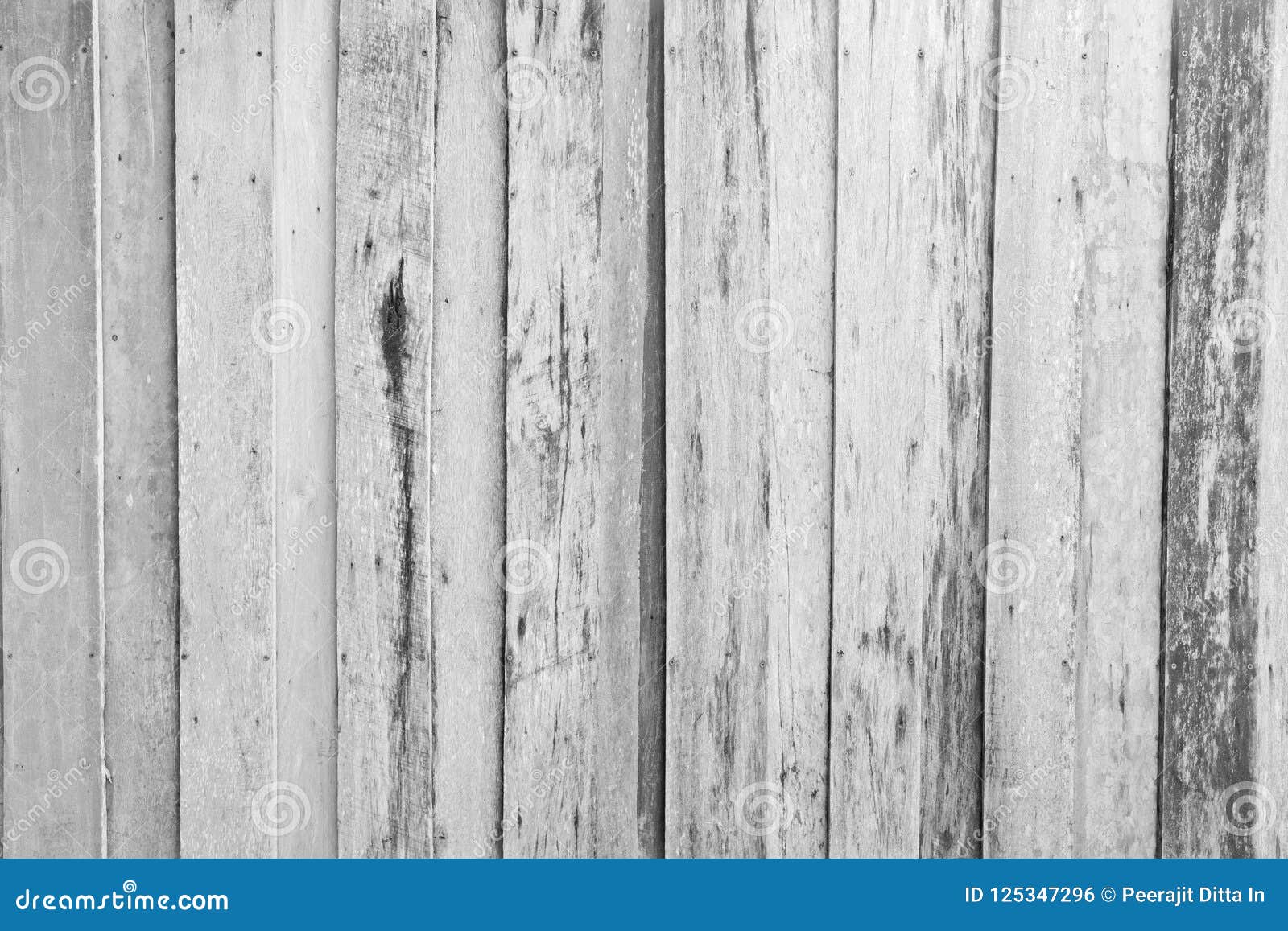 Vertical Line Of Wood Background Texture Stock Photo | CartoonDealer ...