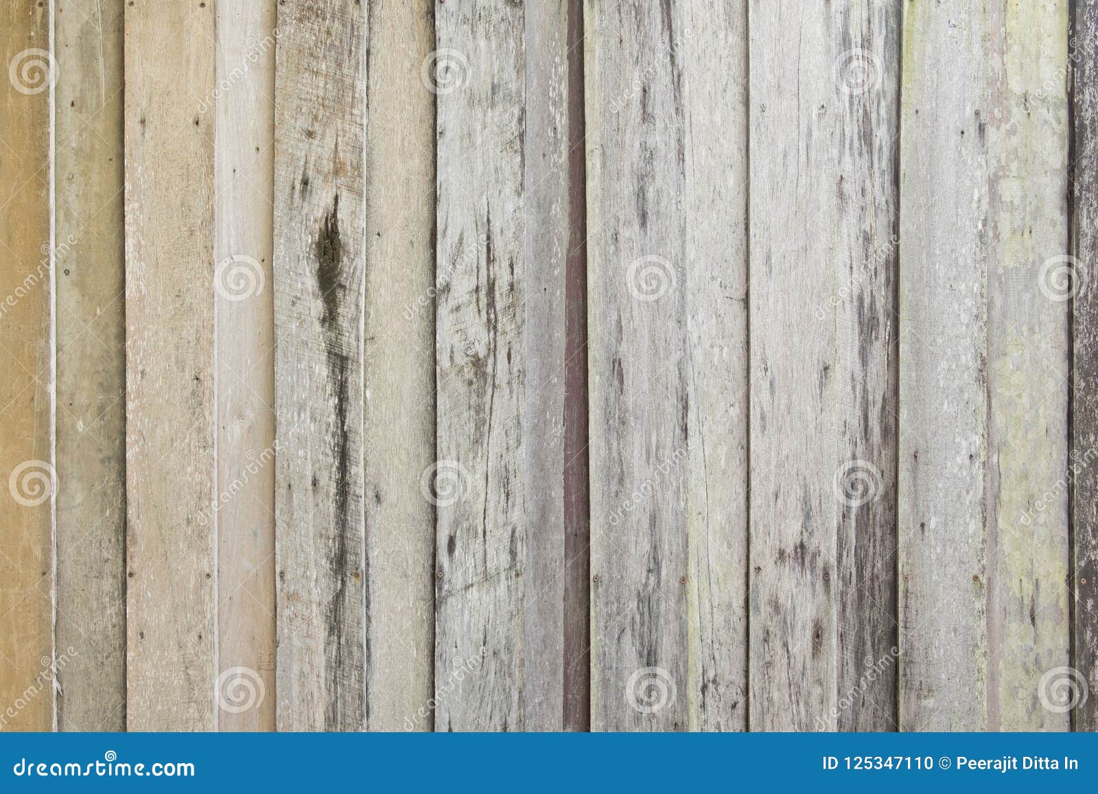 Vertical Line of Wood Background Texture Stock Photo - Image of pattern ...