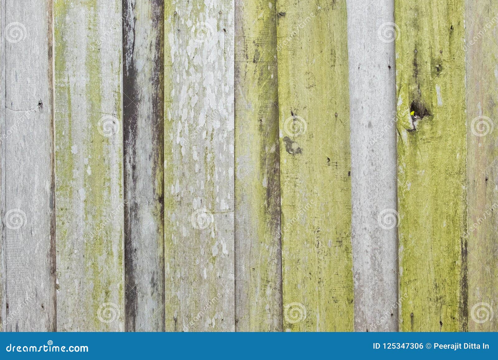Vertical Line of Wood Background Texture Stock Photo - Image of surface ...
