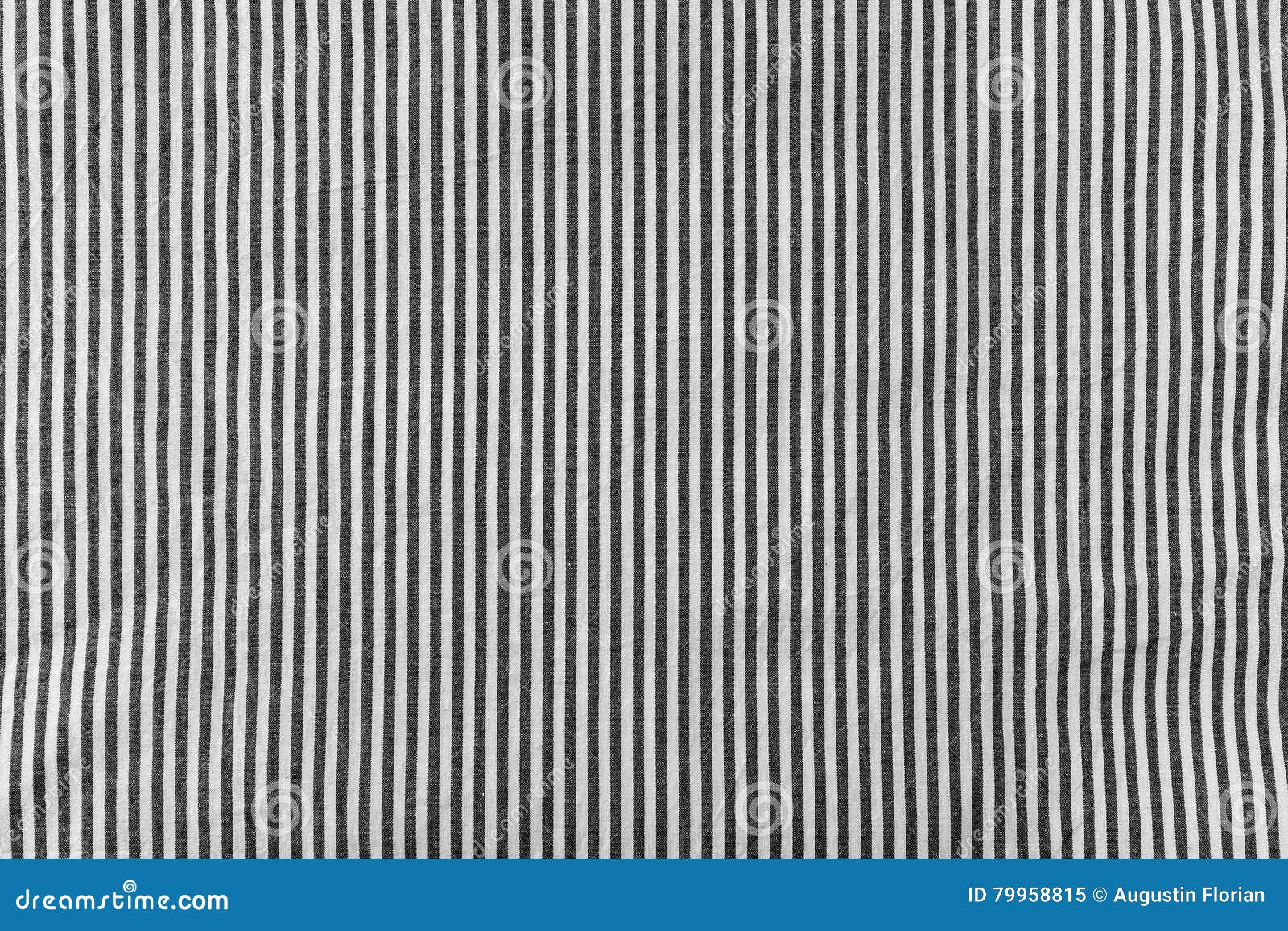 Vertical lines stock image. Image of delicate, abstract - 79958815