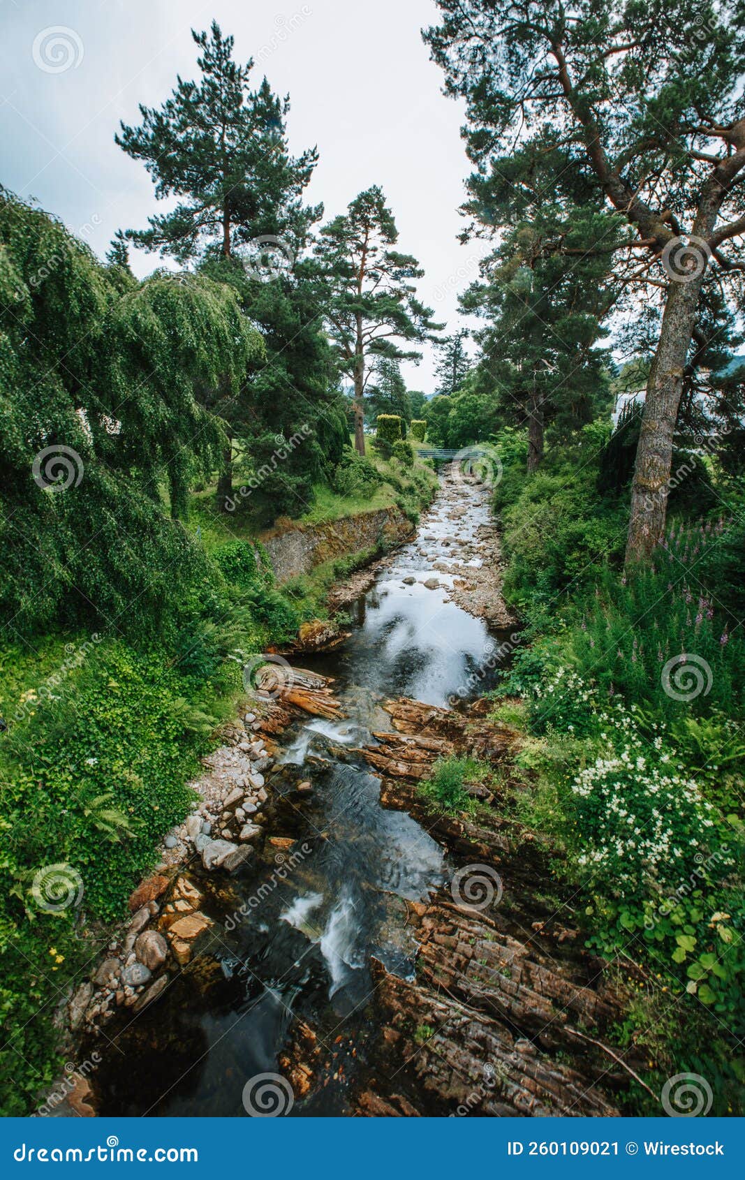 Vertical Long Exposure Shot of the Splashing River Water in the Green ...