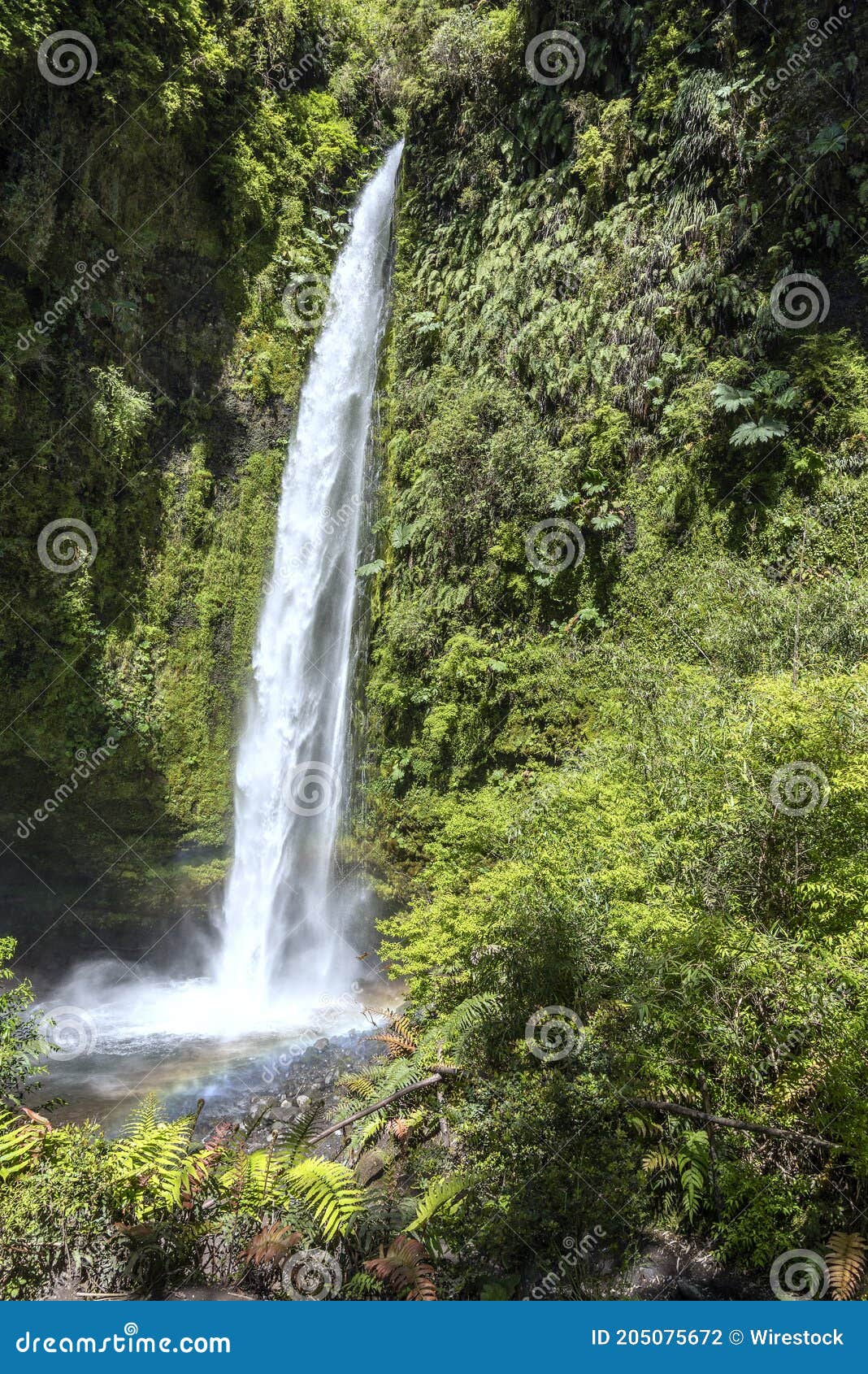 Vertical Shot of a Thin Waterfall with a Beautiful Rainbow Flowing ...