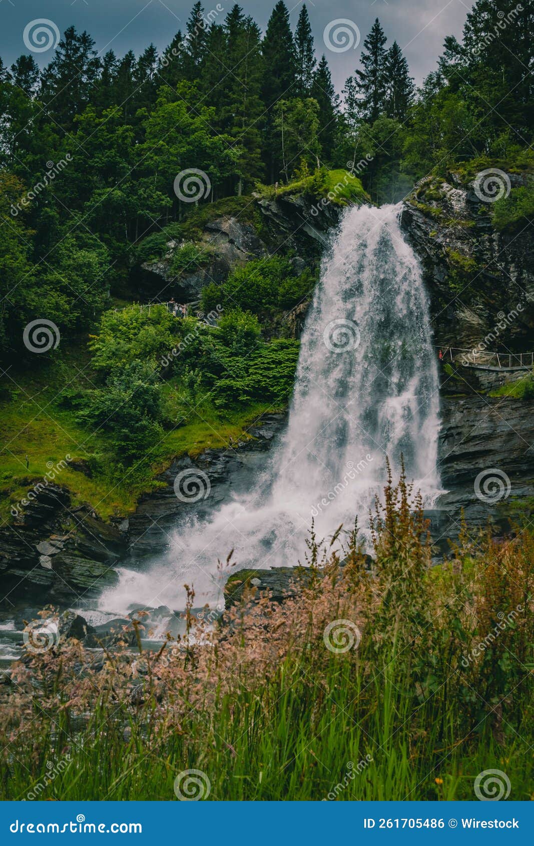 Vertical and Long Exposure Shot of a Waterfall in a Valley Emerging ...