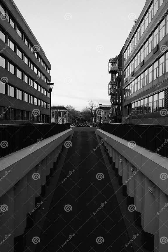 Vertical Low-angle Grayscale of a Bridge with Buildings on Both Sides ...