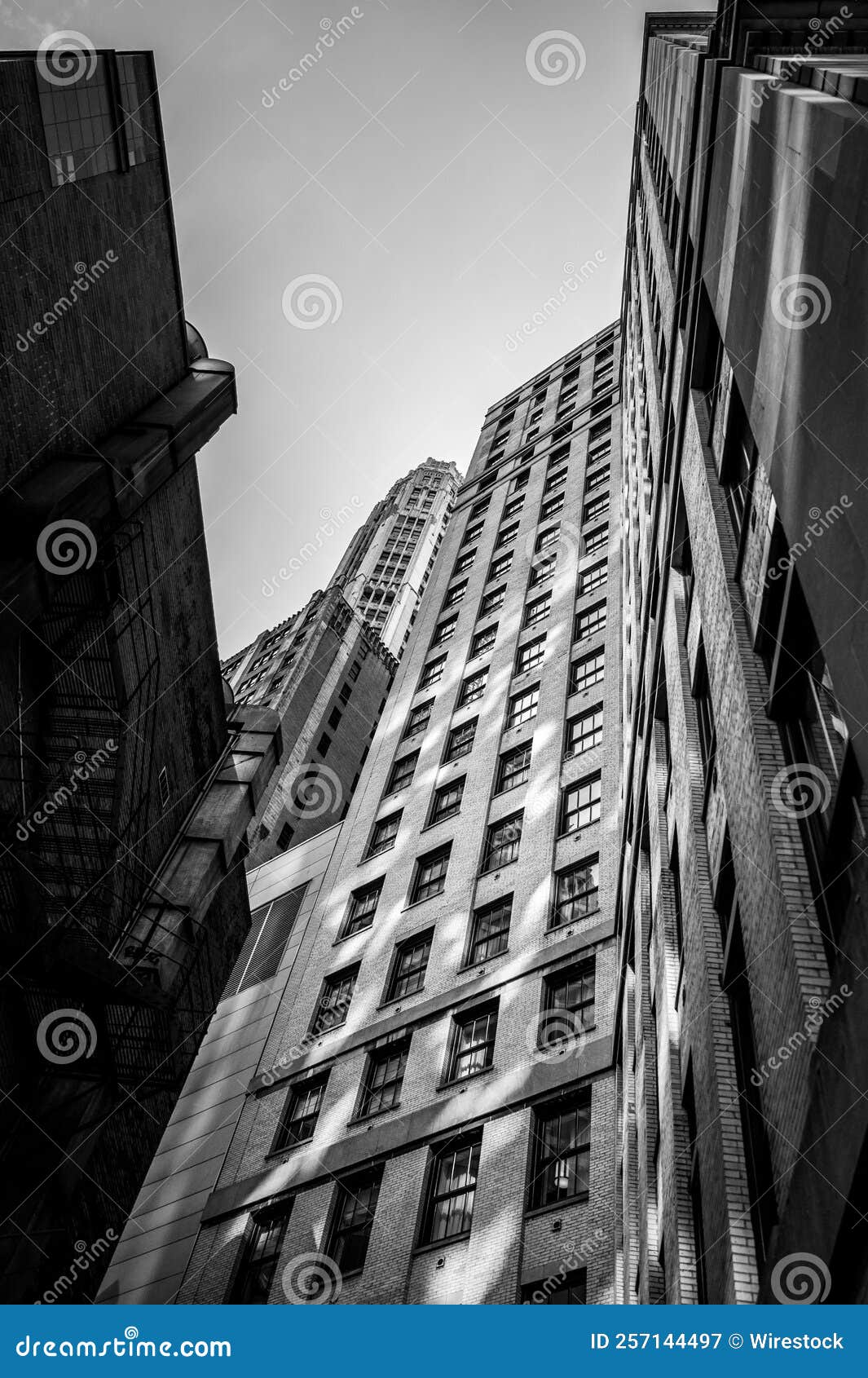Vertical Low Angle Grayscale Shot of a High Rise Skyscraper Building in ...