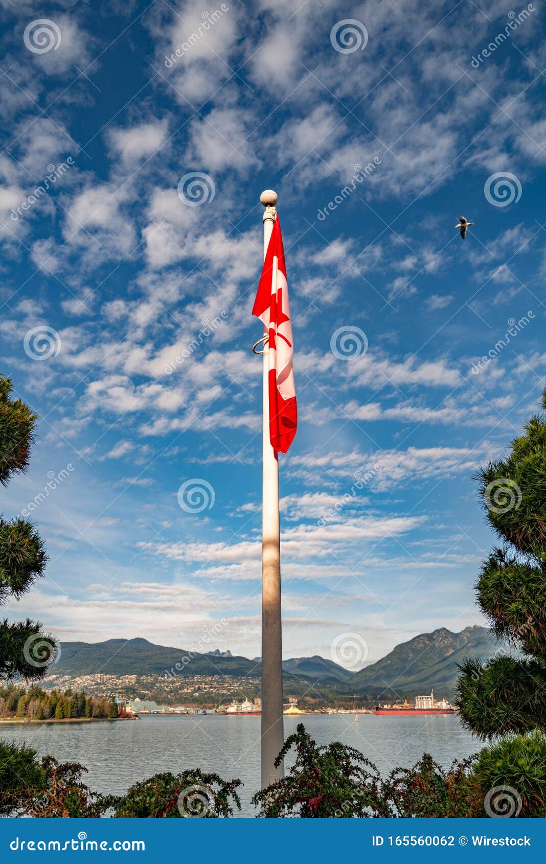 Vertical Low Angle Shot of the Canada Flag Looking Towards North ...