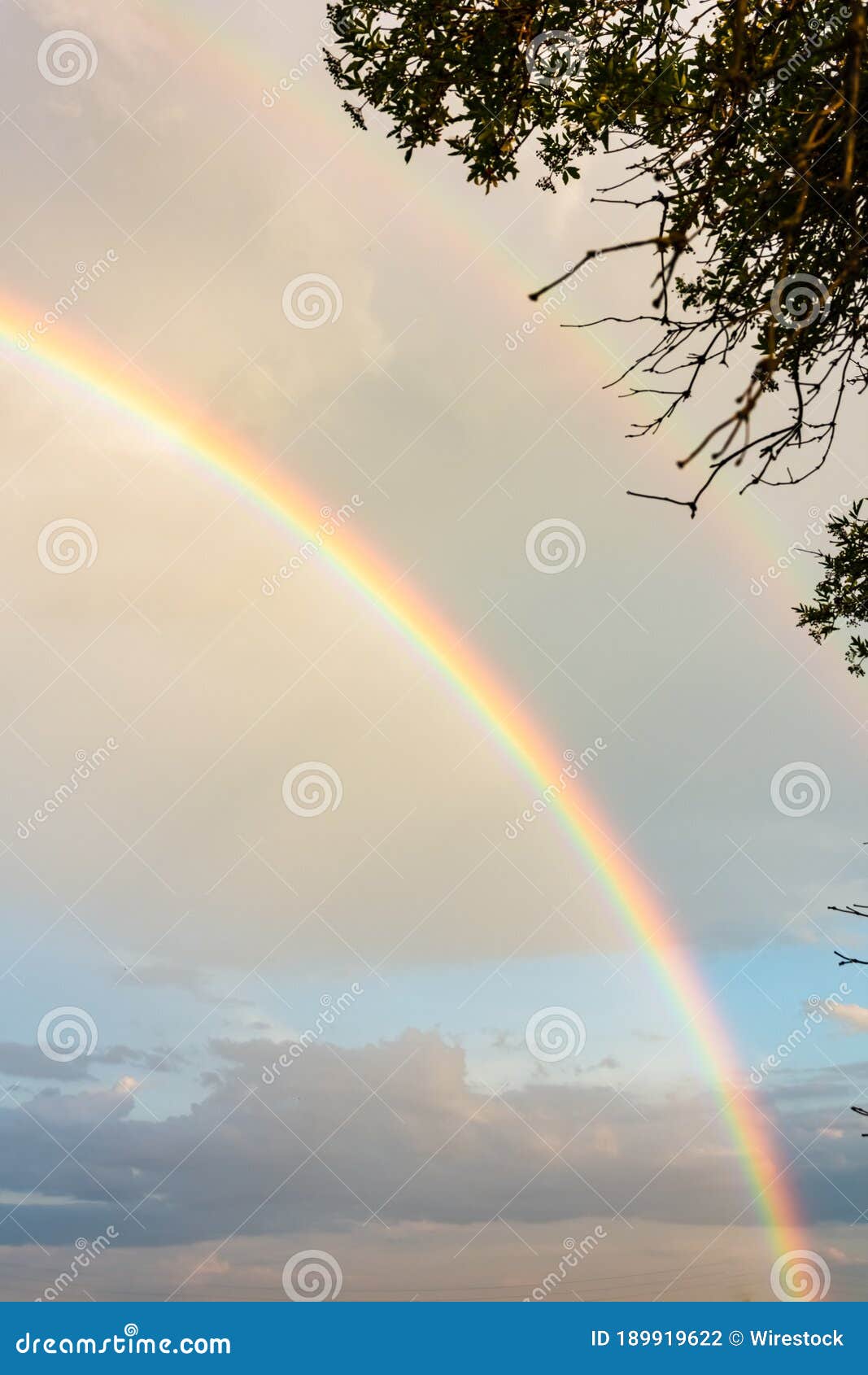 Vertical Low Angle Shot of a Double Rainbow in the Sky Captured from a ...