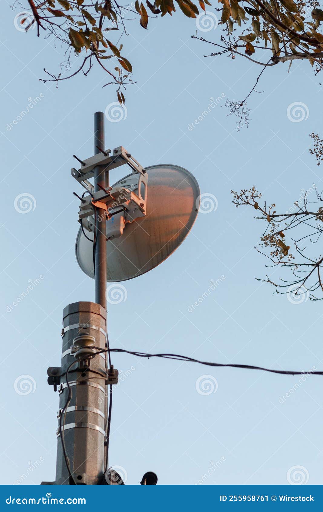 Vertical Low Angle Shot of a Radio Relay Antenna Against a Blue Sky ... Vertical Low Angle Shot of a Radio Relay Antenna Against a Blue Sky ...