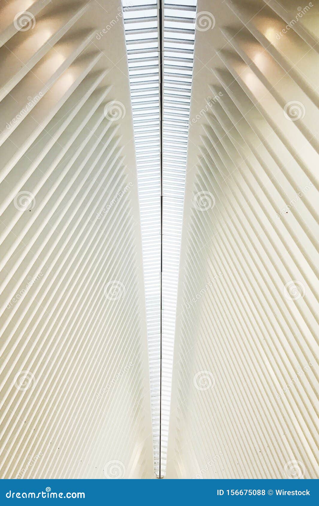 Vertical Low Angle Shot of the White Ceiling of an Architectural ...