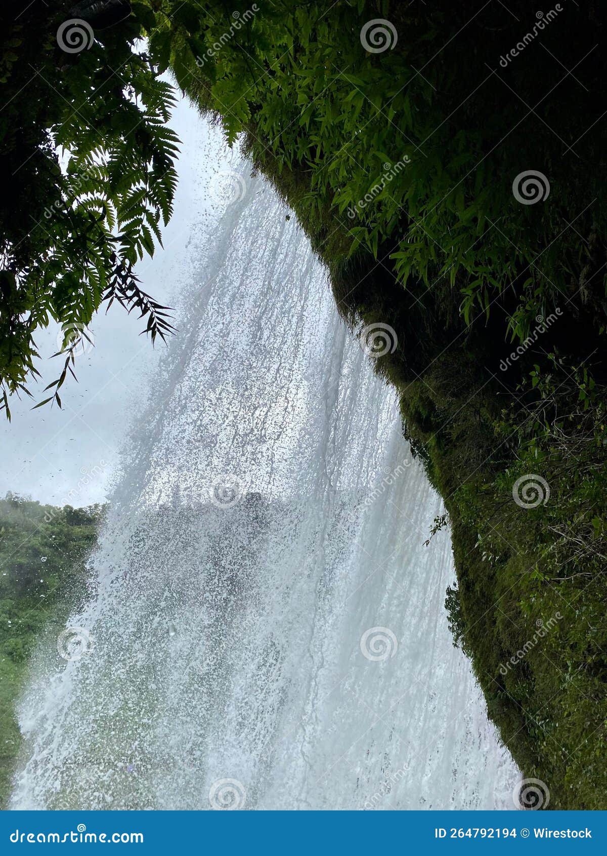 Vertical Low-angle View from a Cave To the Waterfall Stock Photo ...
