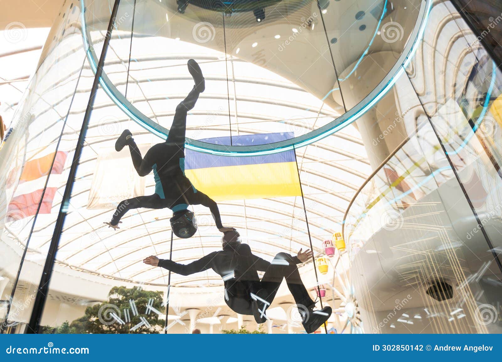 Vertical. Man Controls the Body in the Air. Skydiving for Active People ...