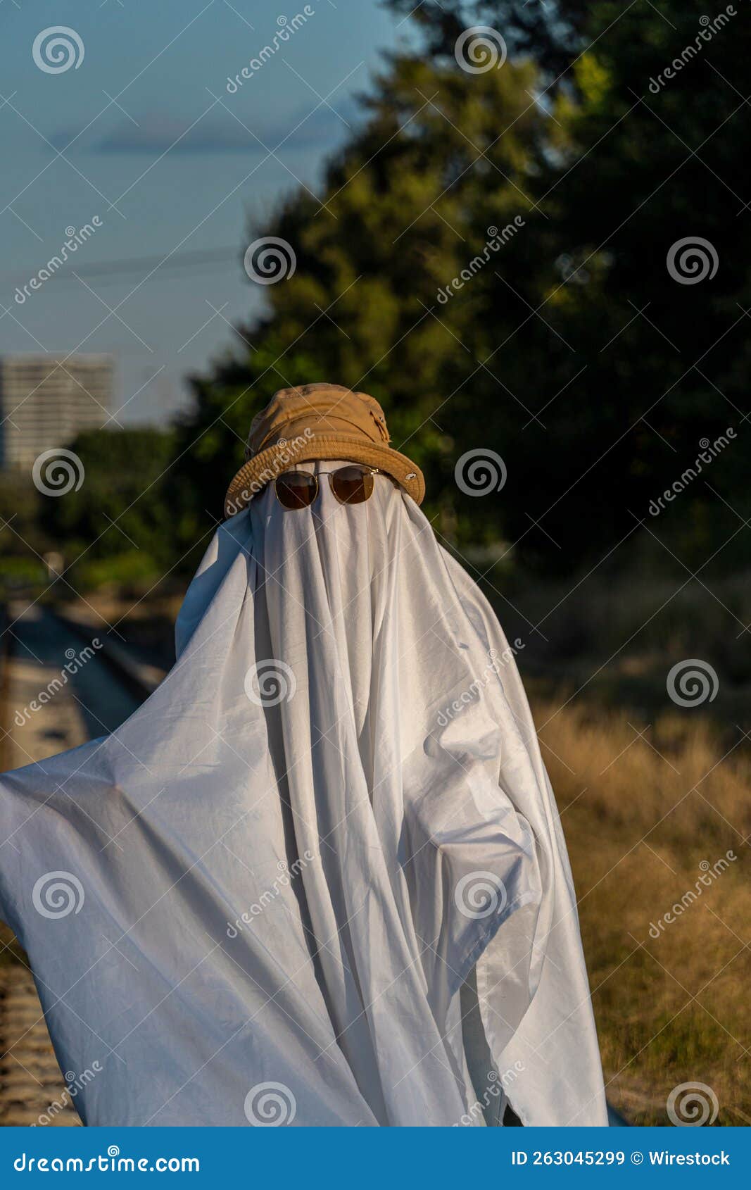 Vertical of a Man Covered with a White Sheet - Ghost in the Countryside ...