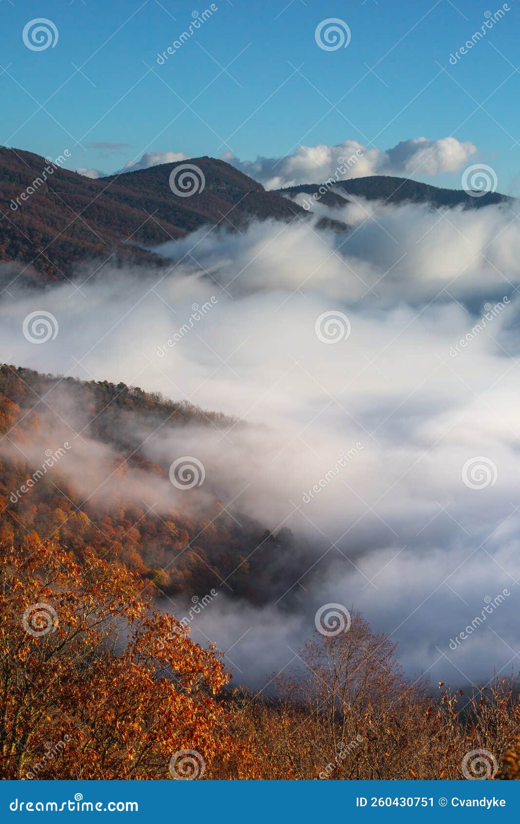Vertical of Mesmerizing Cloud Inversions Pounding Mill Overlook NC ...
