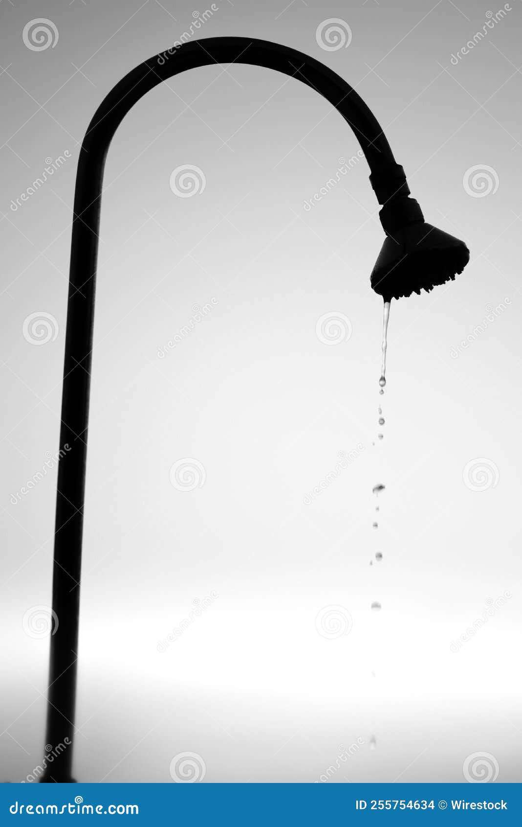 Vertical and Monochrome Shot of the Shower Stock Photo - Image of flow ...