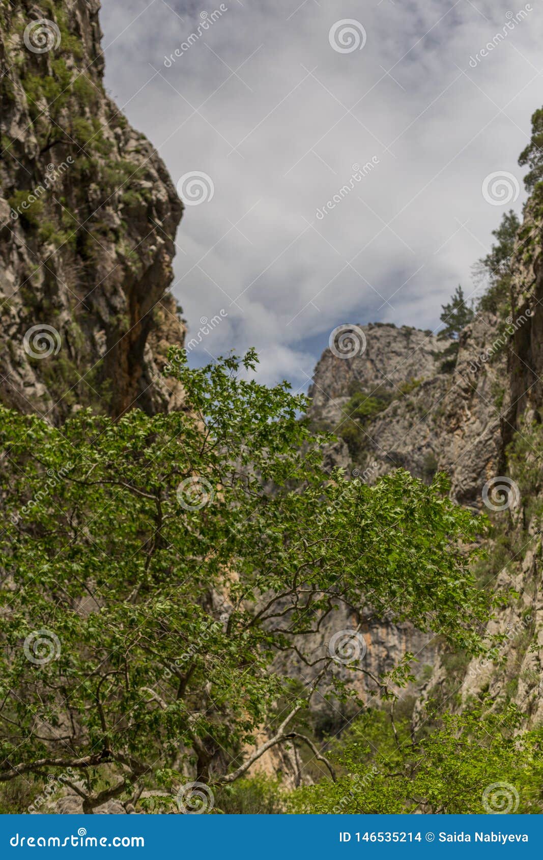 Vertical Mountain Landscape with Copy Space Stock Photo - Image of ...