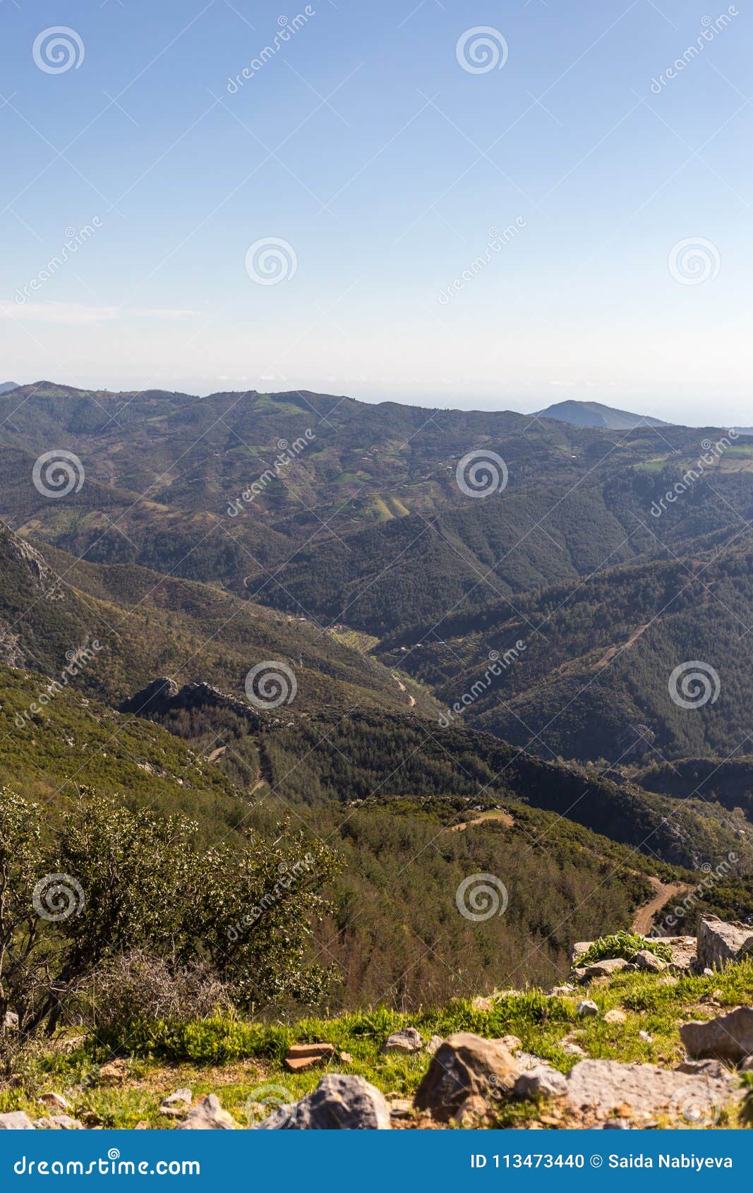 Vertical Mountain Landscape Stock Photo - Image of mountain, landscape ...
