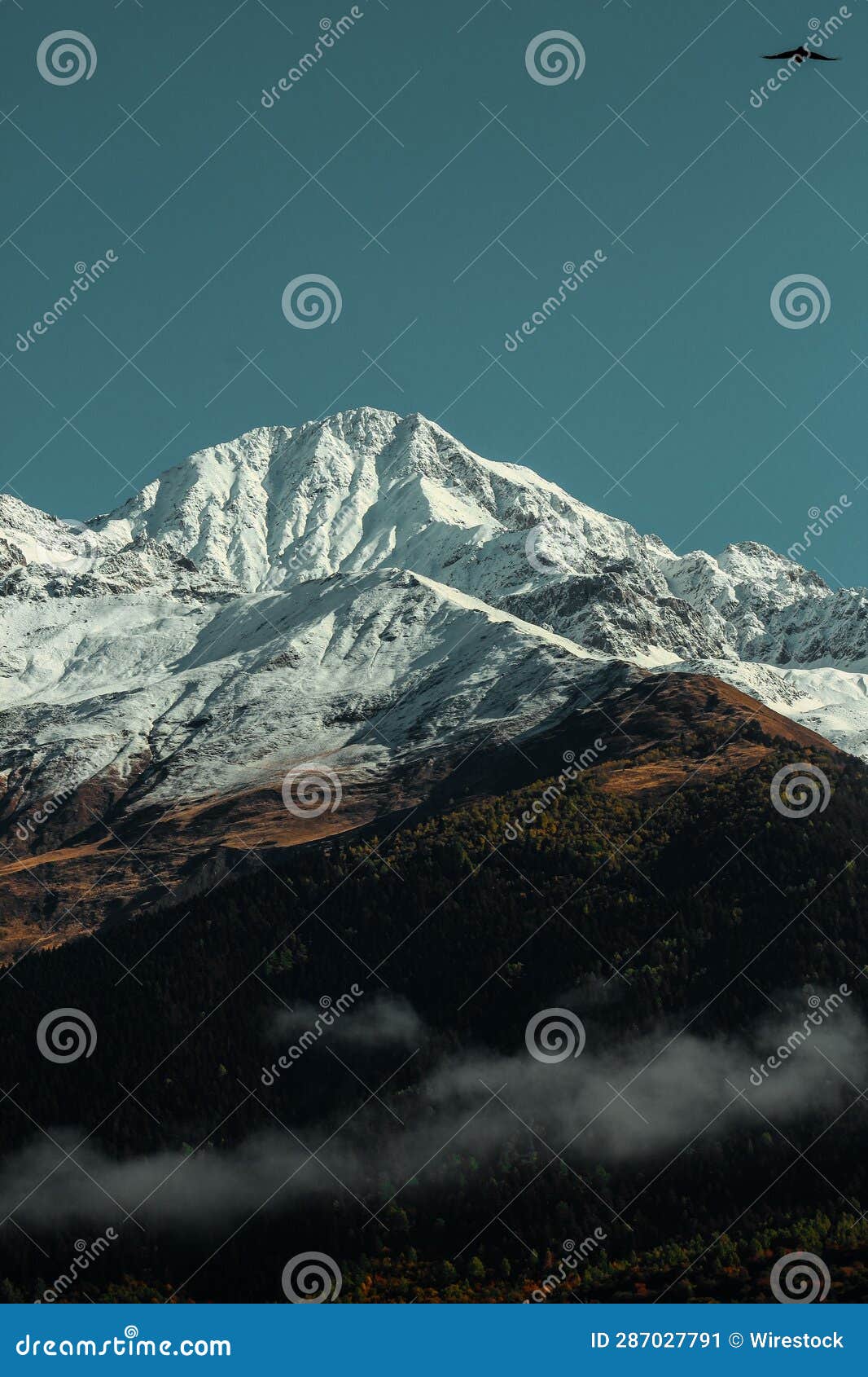Vertical of a Mountain Range with Green Forests and Snow-capped Peaks ...