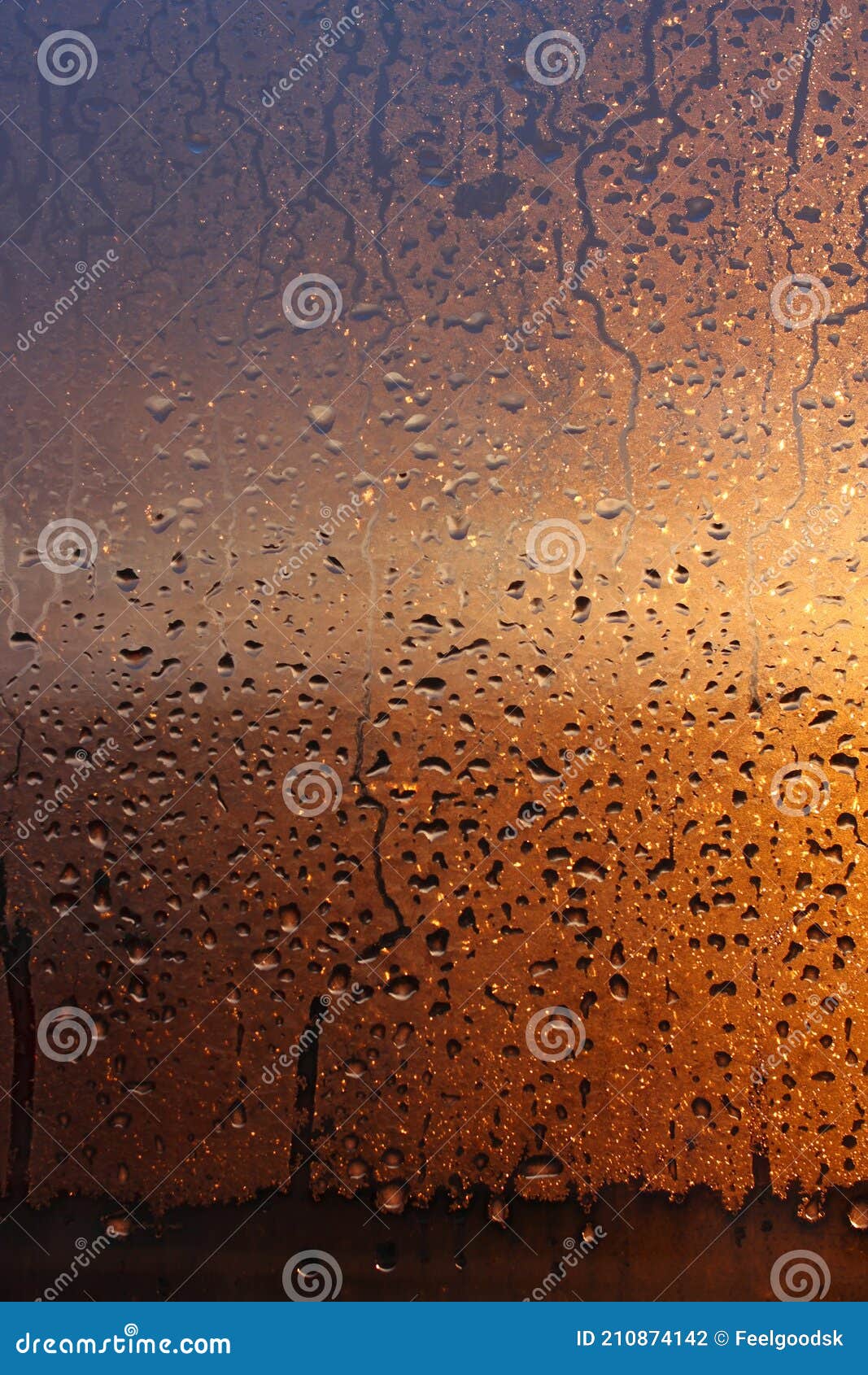 Vertical Natural Background with Water Drops on a Window with Sun Rays ...