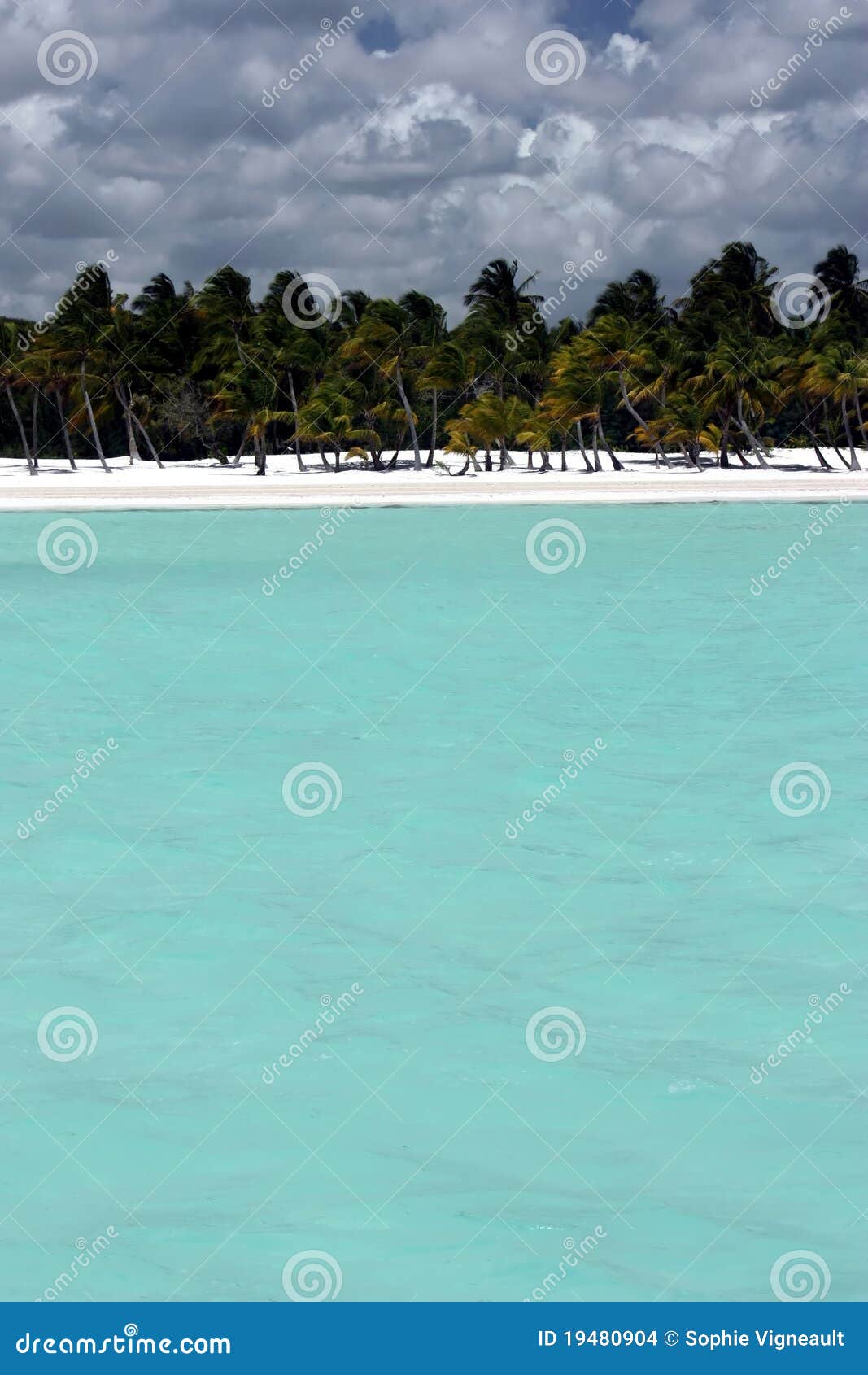 Vertical Ocean and Beach Panorama Stock Photo - Image of pristine ...