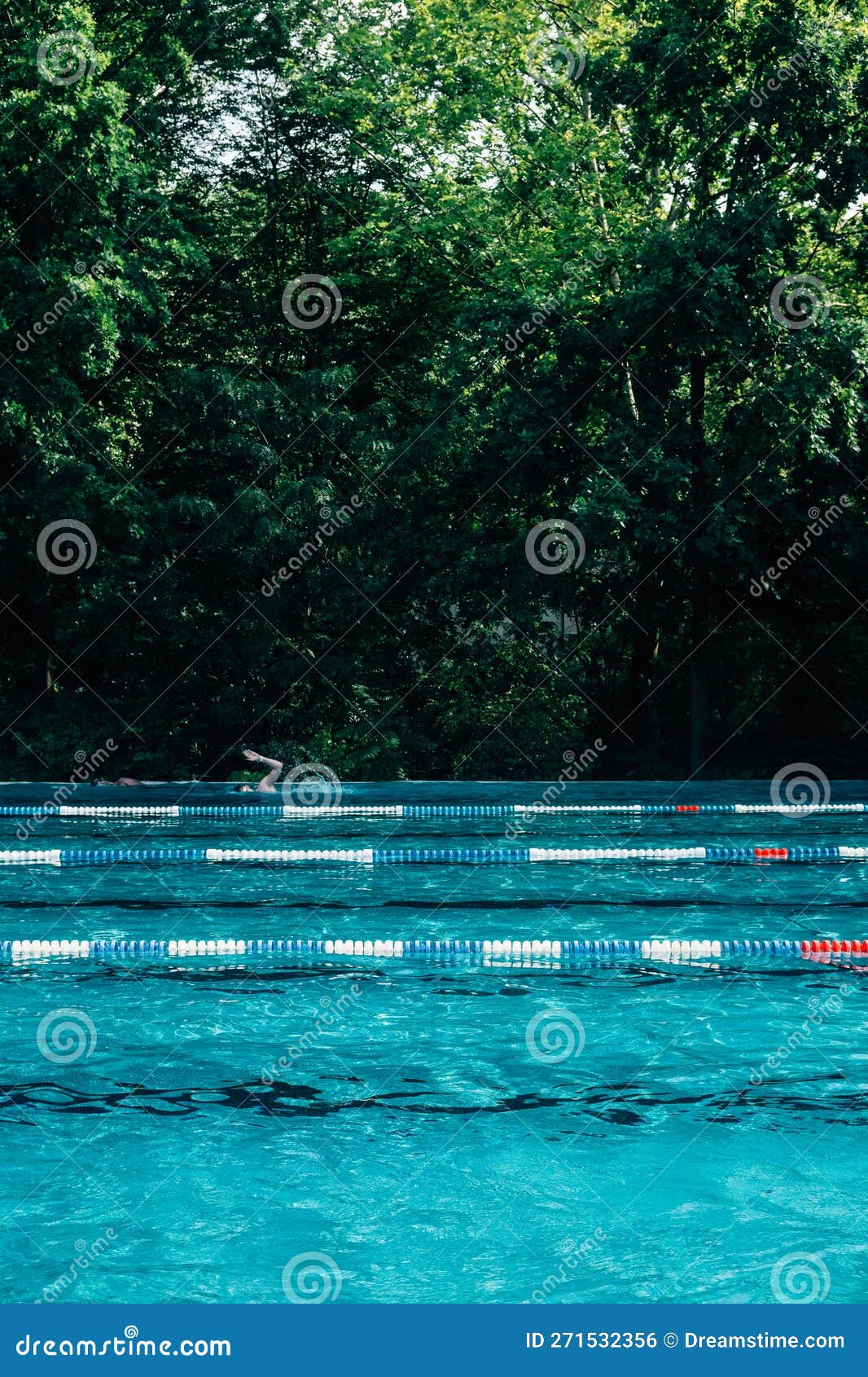 Vertical of an Outdoor Swimming Pool Next To the Trees. Stock Photo ...