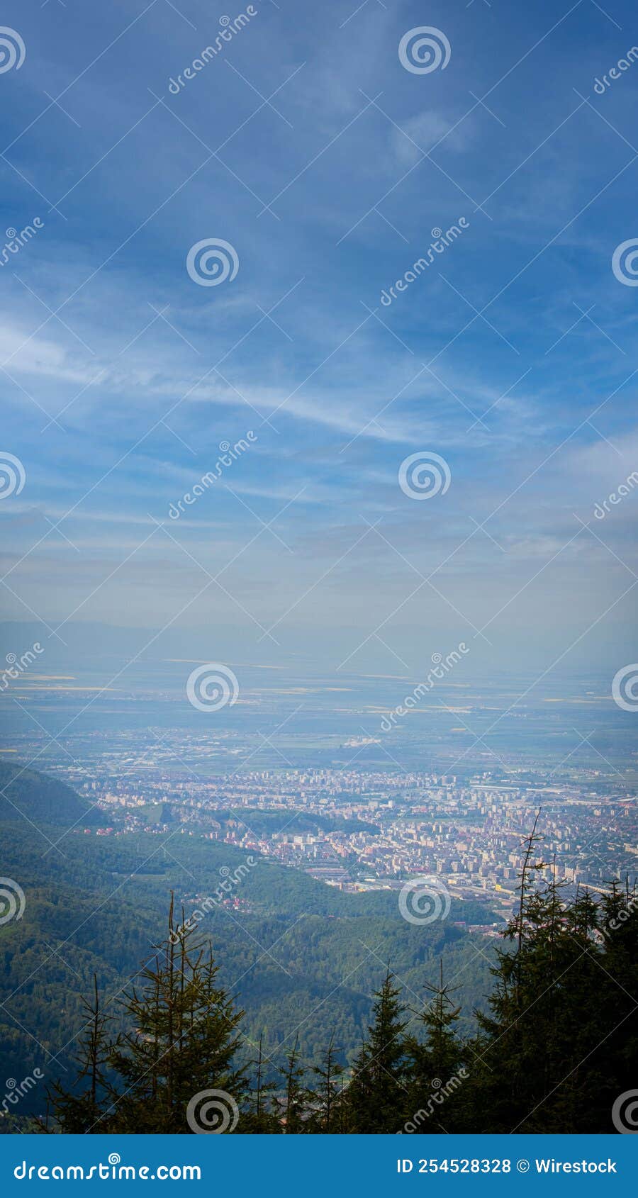 Vertical Panoramic View Behind Trees on the Hill of Distant Cityscape ...