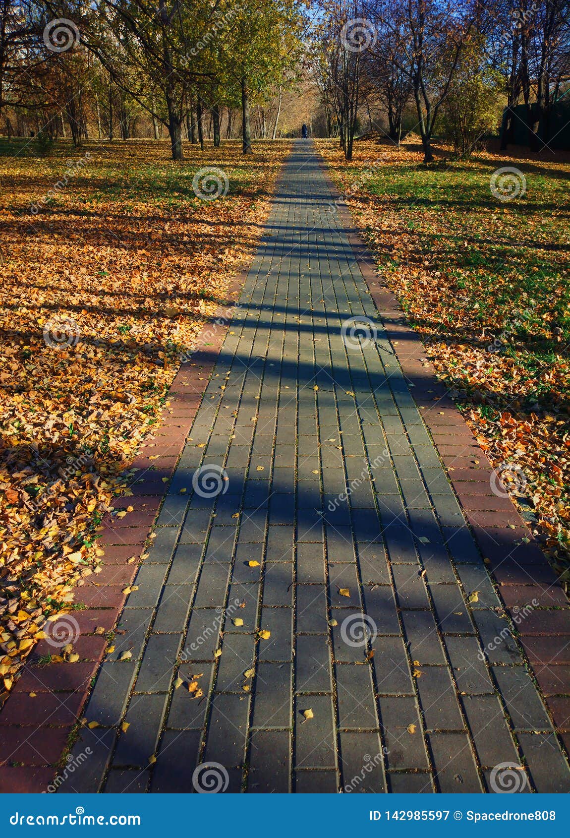 Vertical A Path On A Green-covered Hill In The Blanc-Martel Trail In La ...