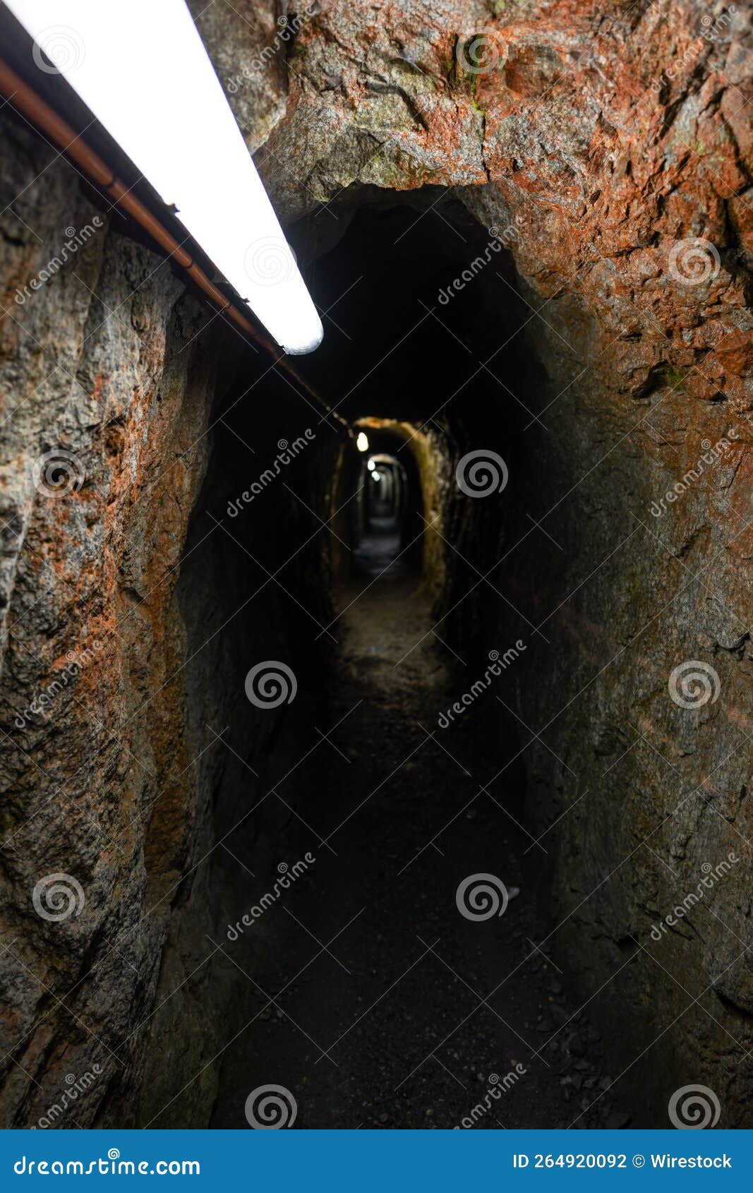 Vertical of the Pathway through a Cave Tunnel Stock Photo - Image of ...
