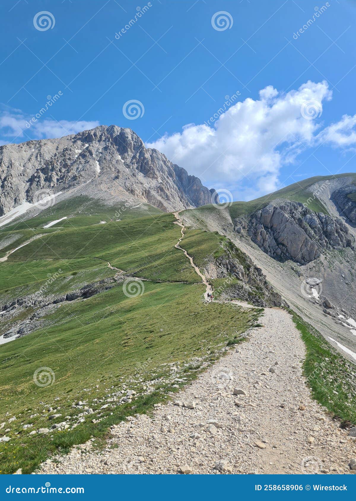 Vertical Pathway And Pond On Grassy Terrain With Homes Lake And ...