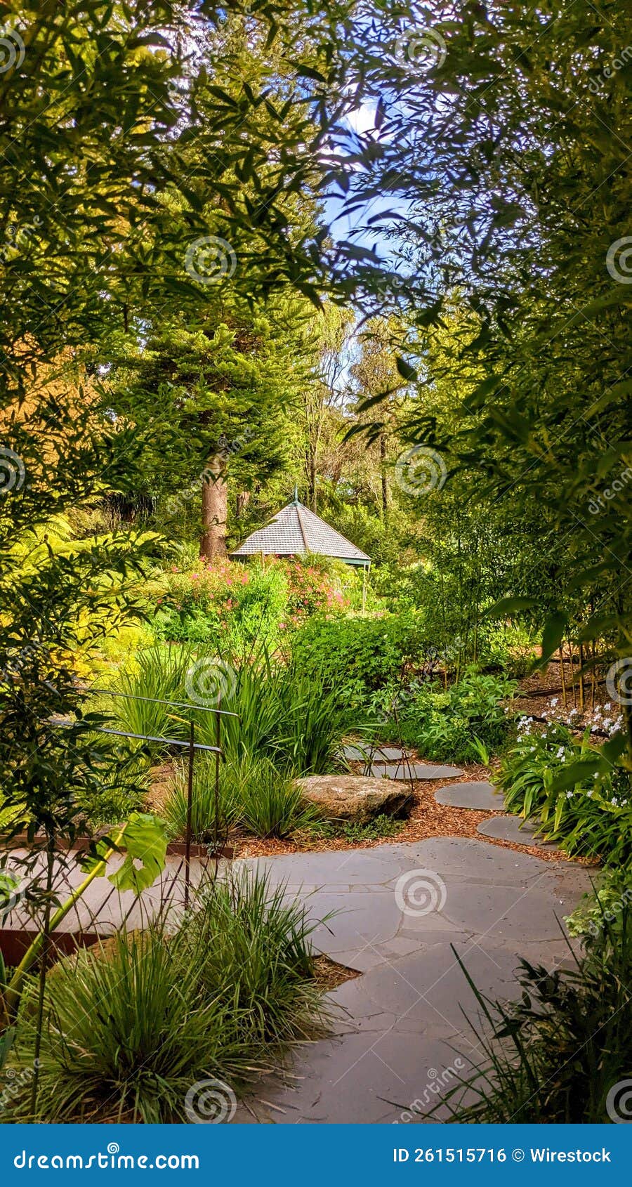 Vertical of a Pathway through the Trees in the Royal Botanic Gardens in ...