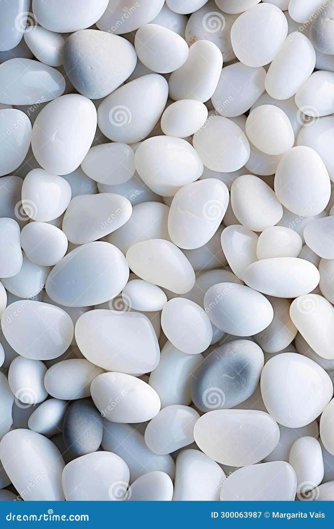 Vertical Pebbles Texture Background, Closeup White Smooth Stones Stock ...