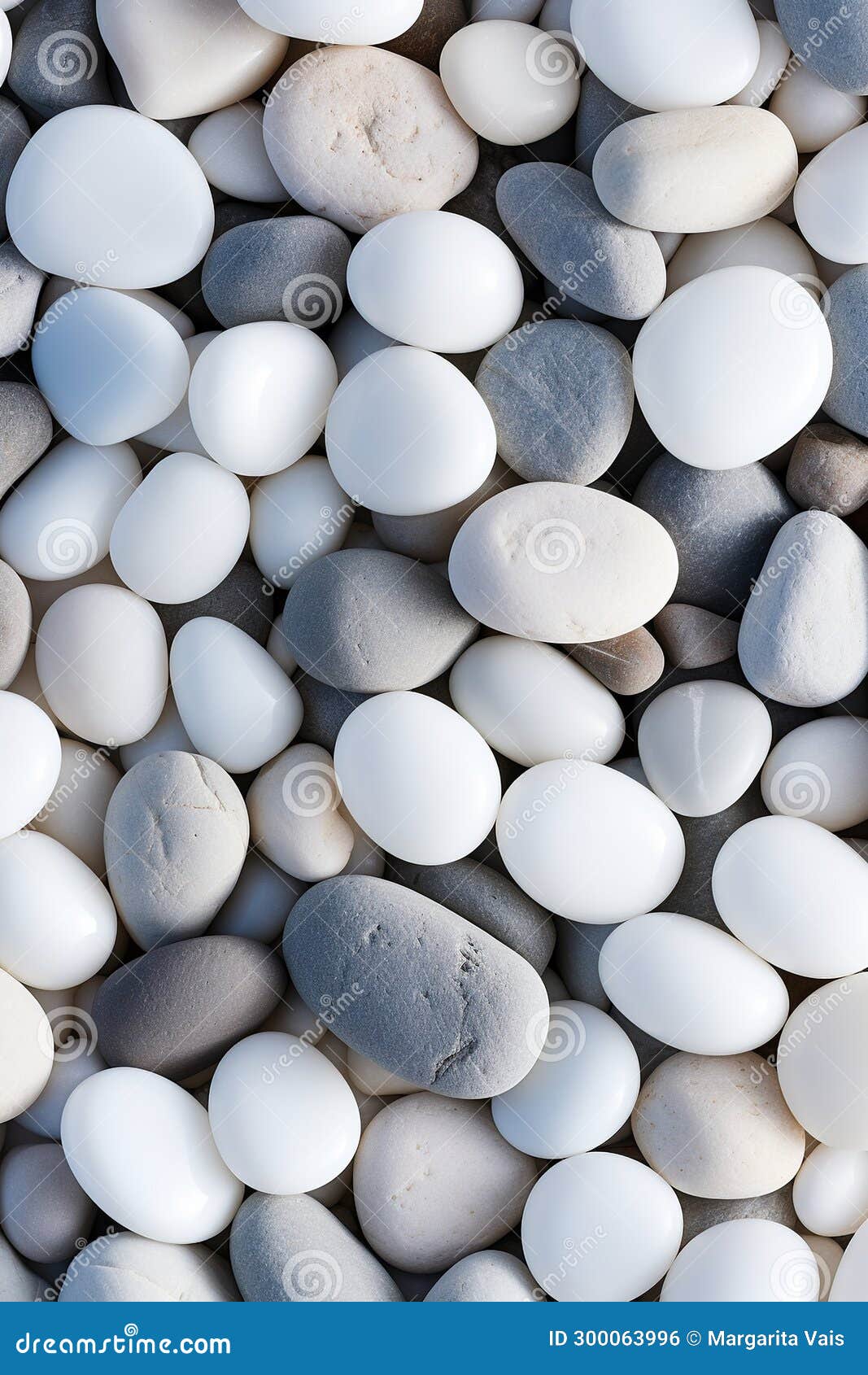 Vertical Pebbles Texture Background, Closeup White Smooth Stones Stock ...