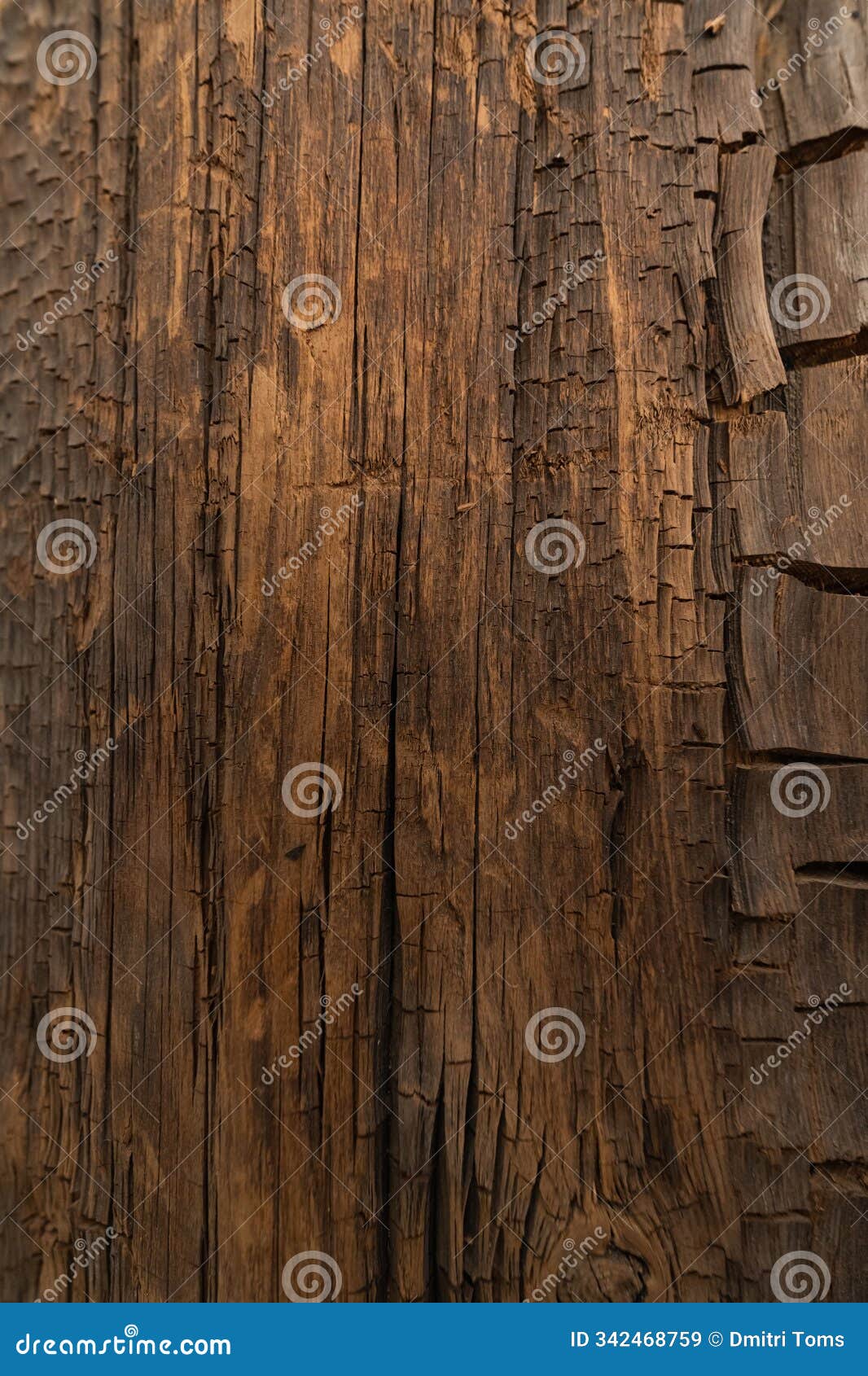 Vertical Photo Background, Texture of Old Cracked Oak Wood Stock Image ...