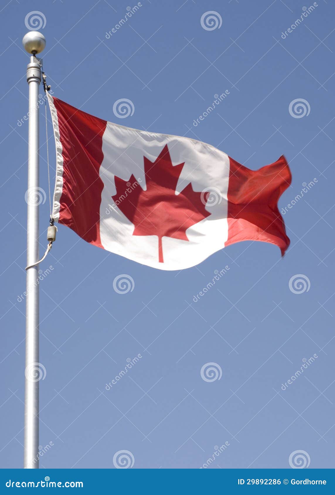 Canada Flag stock photo. Image of sign, color, maple - 29892286