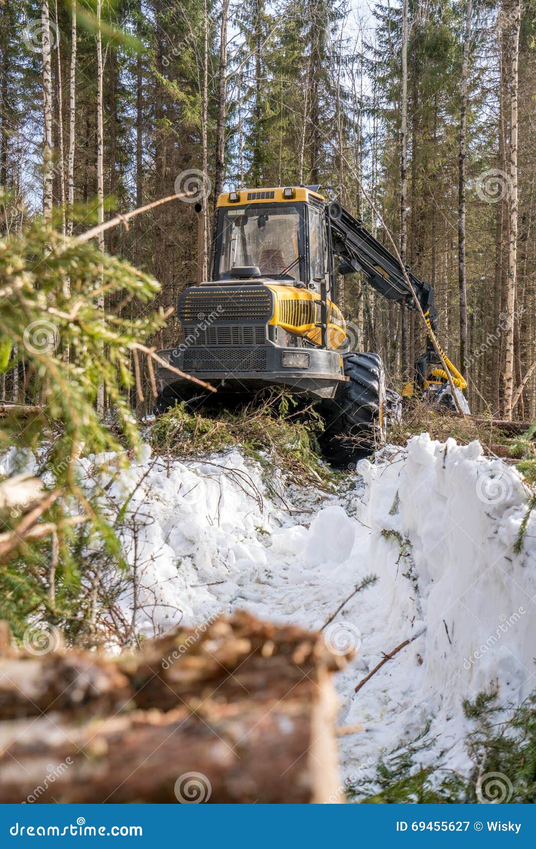 Vertical Photo of Logger in Winter Forest Stock Image - Image of loader ...